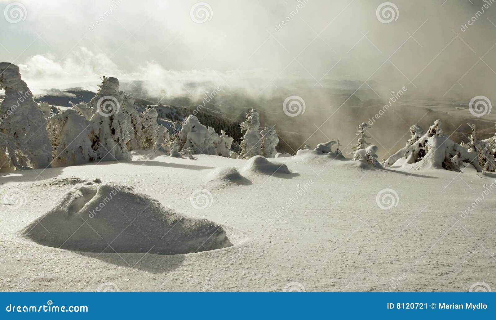 Snow land stock image. Image of trees, blue, winter, mountains - 8120721