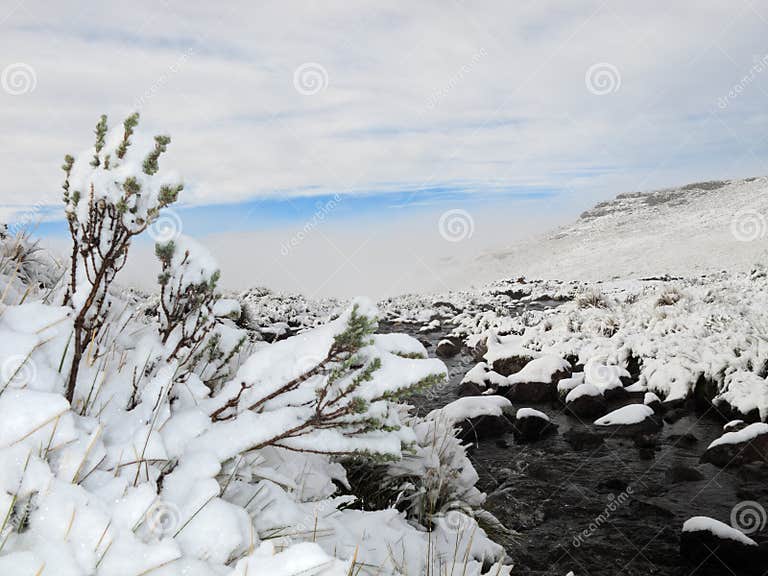 Snow landscape stock image. Image of beautiful, outdoors - 12677449