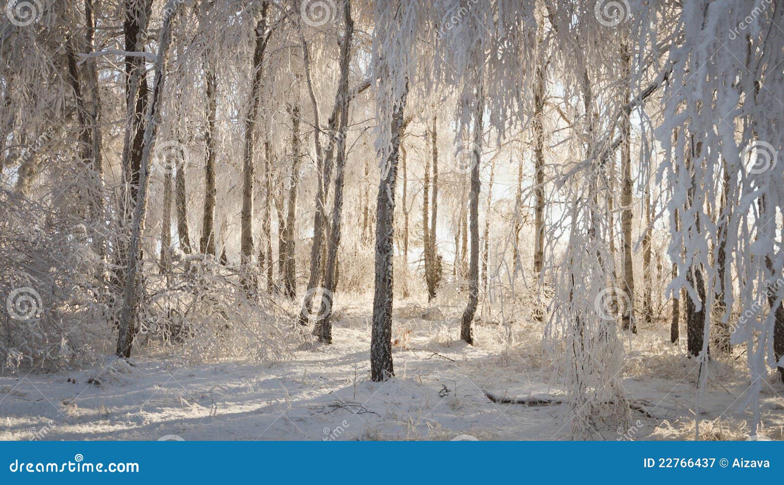 Droopy Trees Stock Photos - Free & Royalty-Free Stock Photos from ...