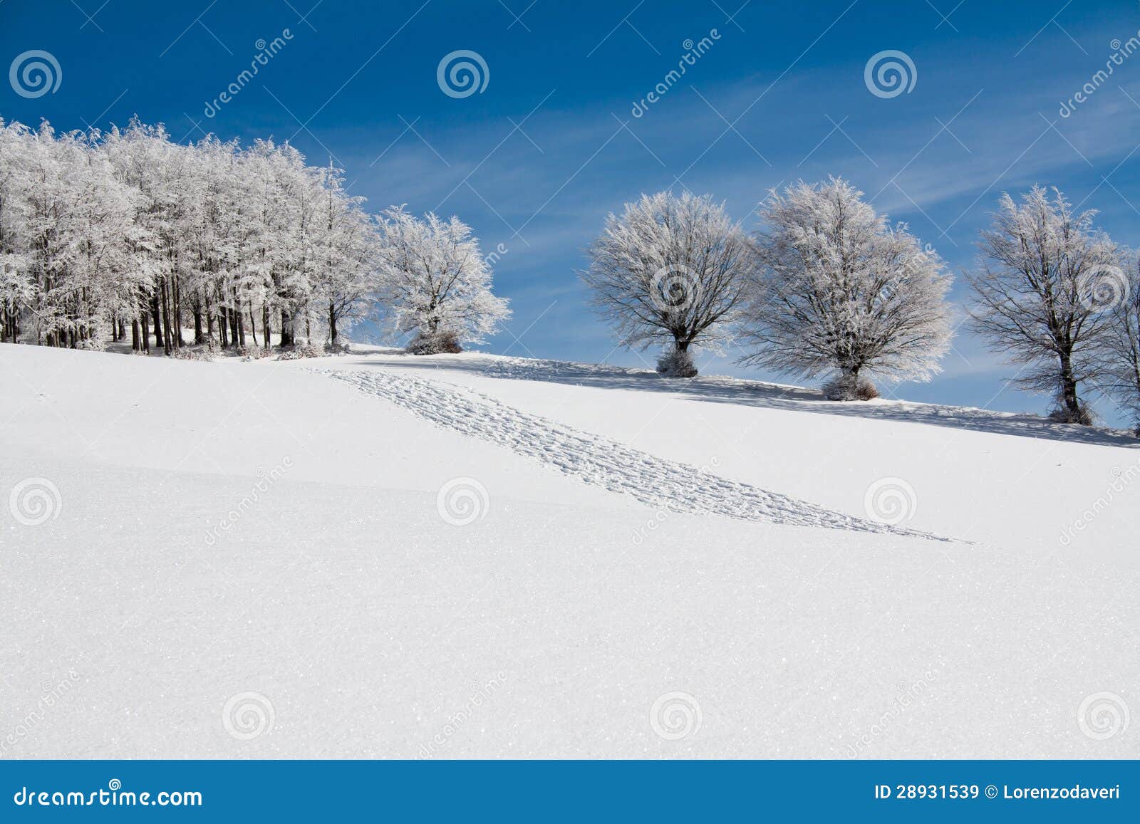 Snow landscape stock image. Image of mountain, frozen - 28931539