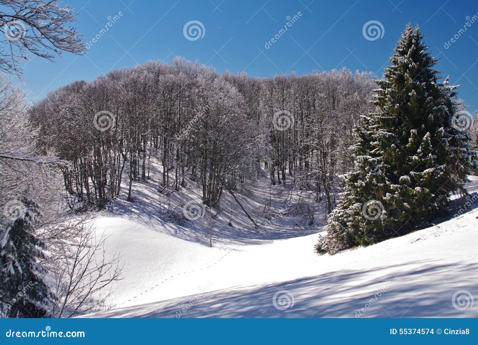 Snow landscape stock photo. Image of chartreuse, trail - 55374574