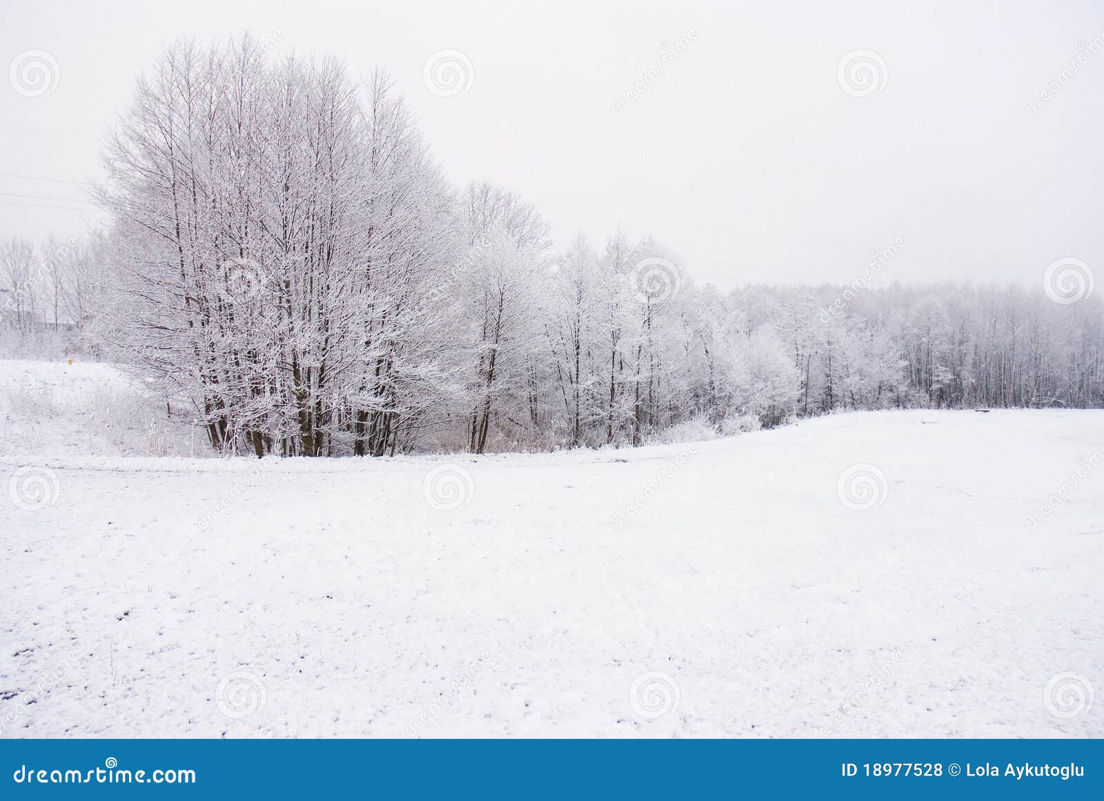 Snow Landscape in the March Stock Photo - Image of chill, time: 18977528