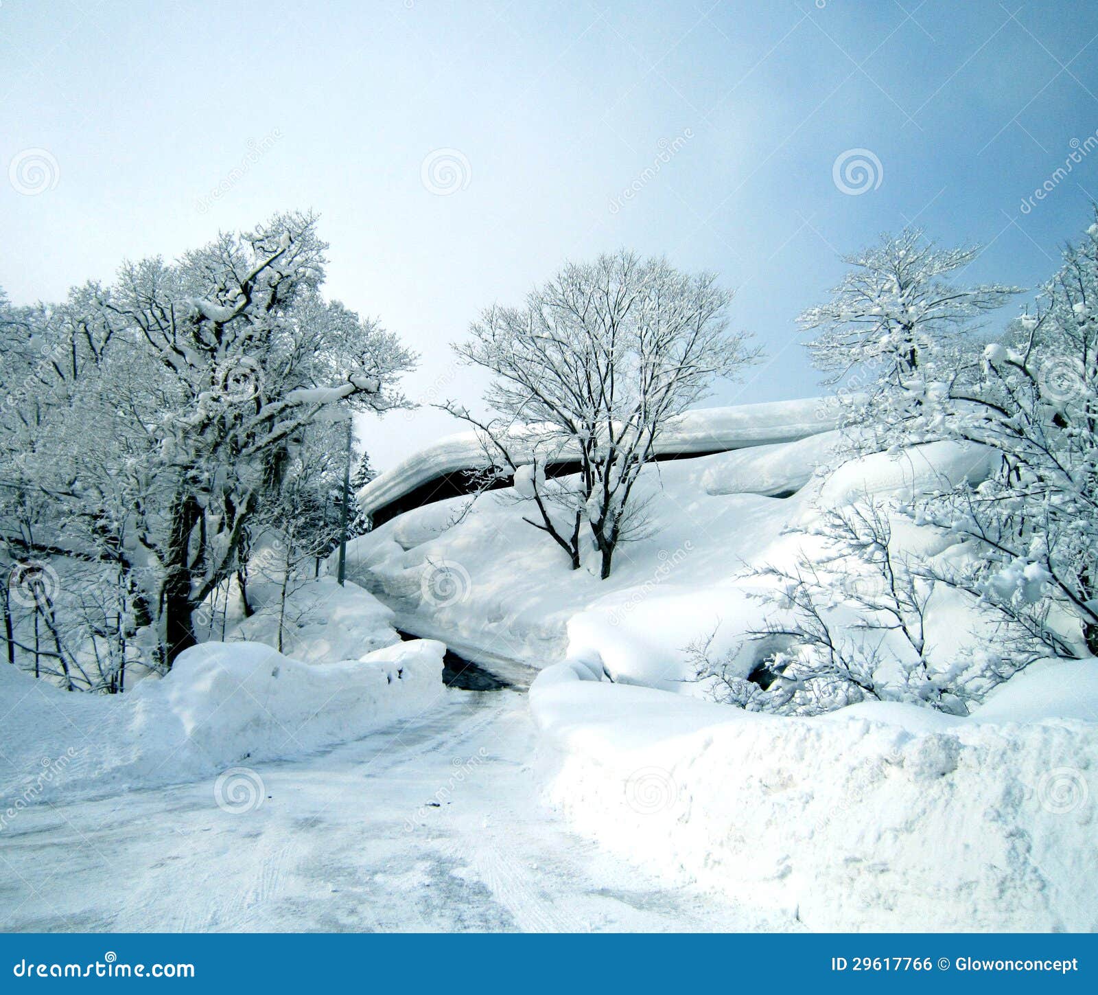 Snow landscape scene stock photo. Image of branch, cold - 29617766