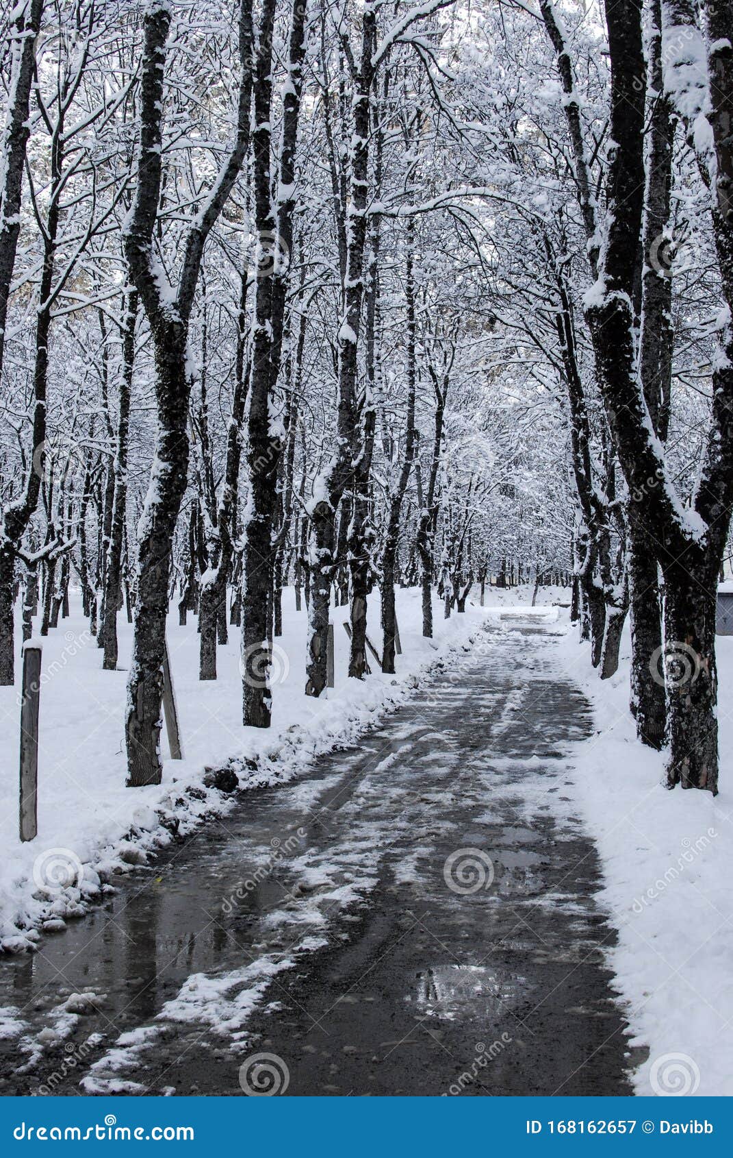 Snow Landscape in Winter Spain Stock Image - Image of scene, nature ...