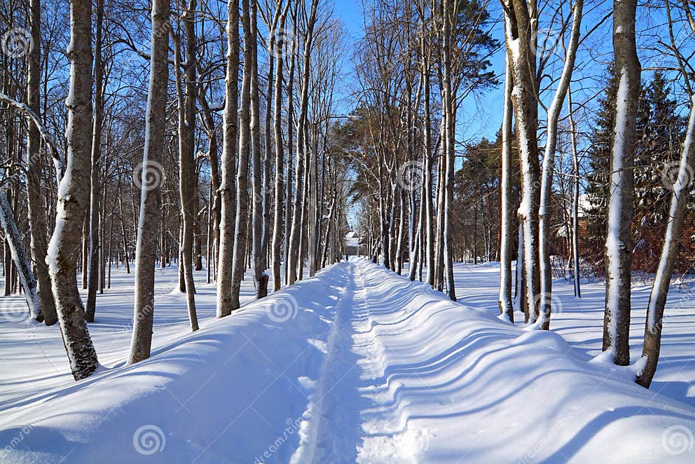 Snow lane stock image. Image of area, january, freshness - 18495799