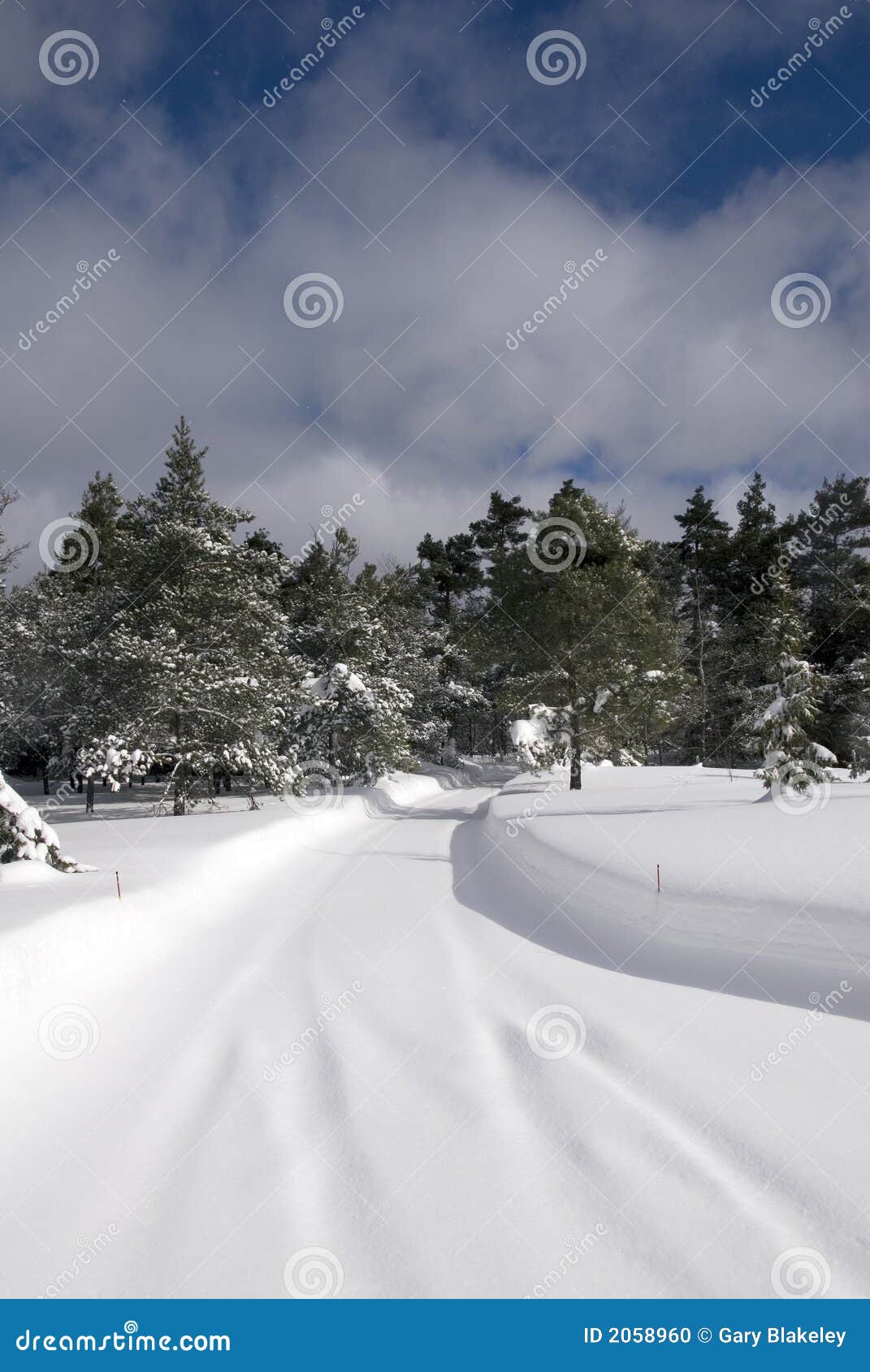 Snow Lane stock photo. Image of christmas, altitude, branch - 2058960