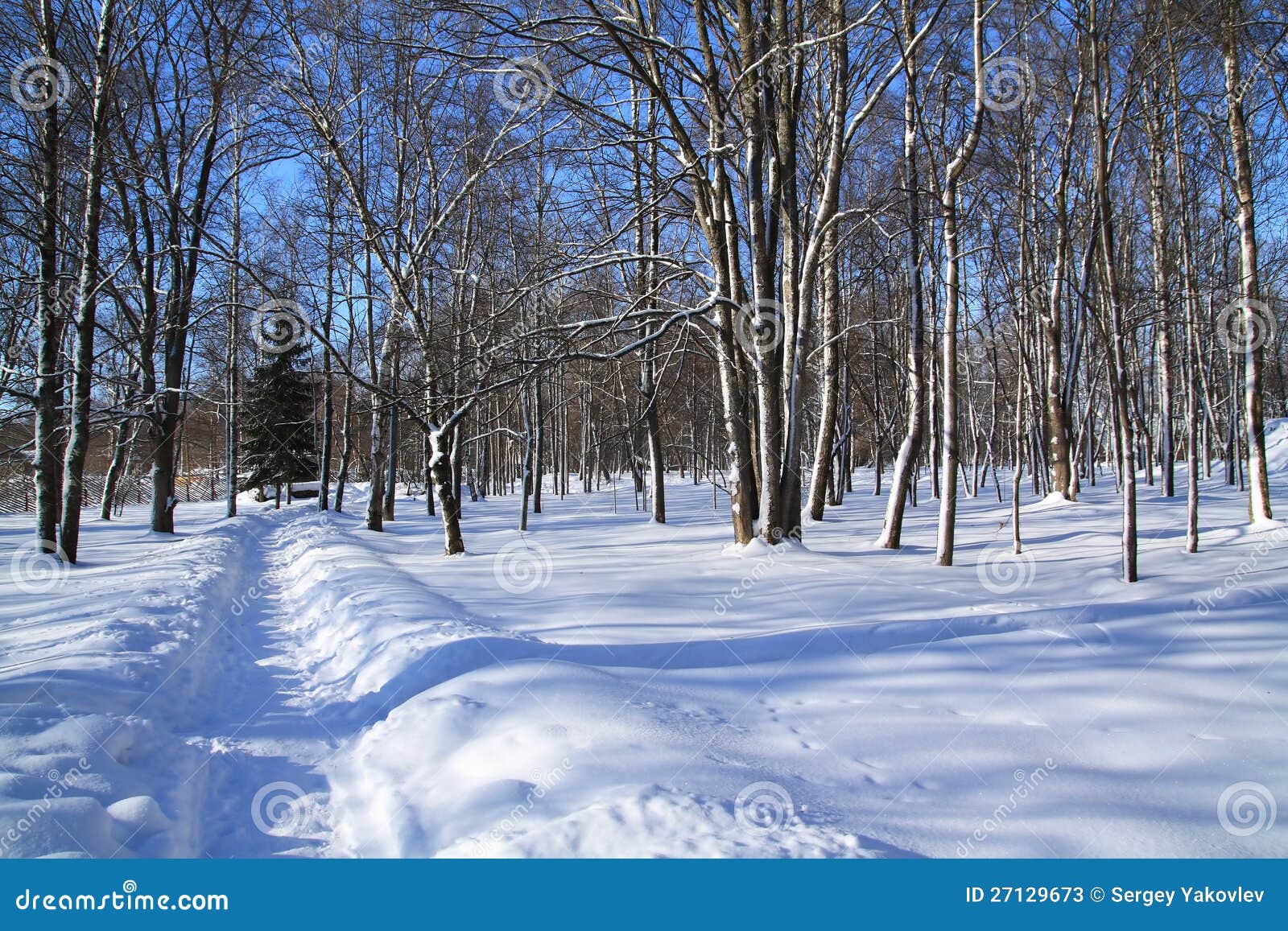 Snow lane stock image. Image of cool, color, front, horizontal - 27129673