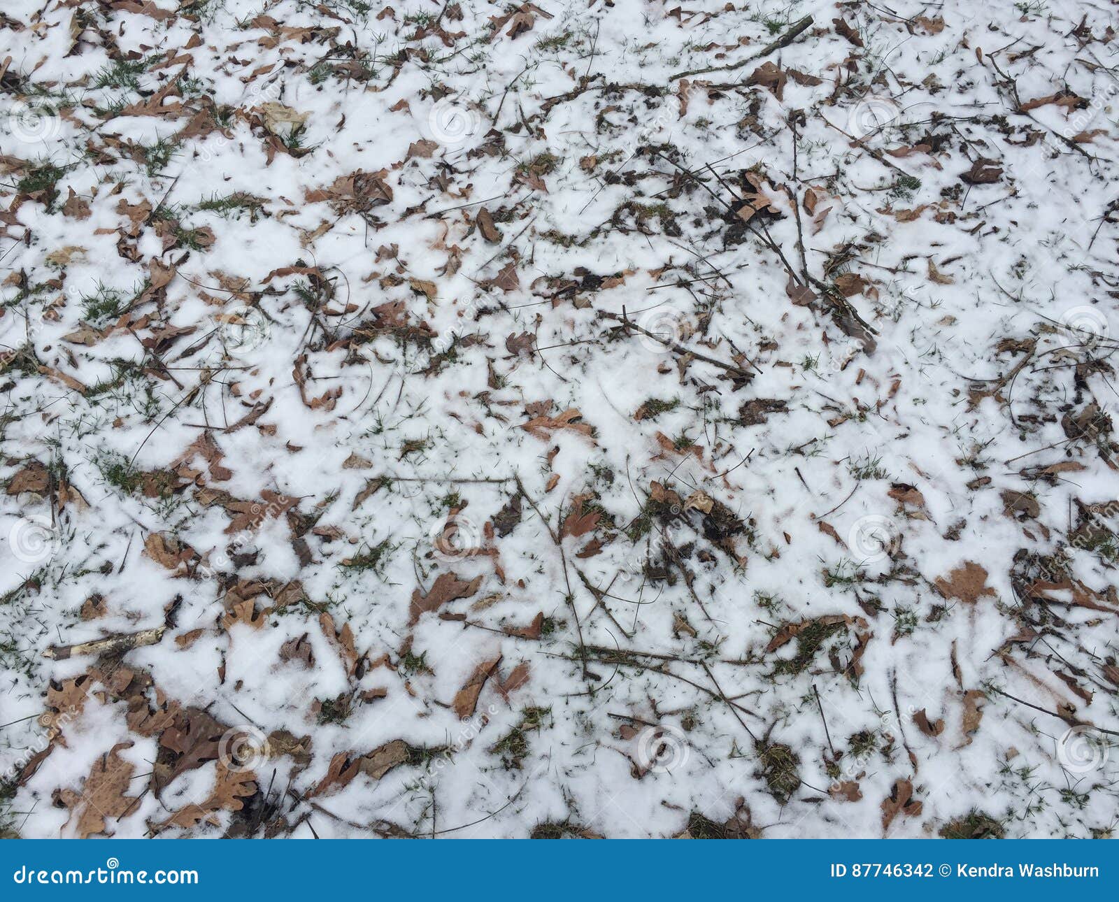 Snow and leaves stock photo. Image of spring, fallen - 87746342
