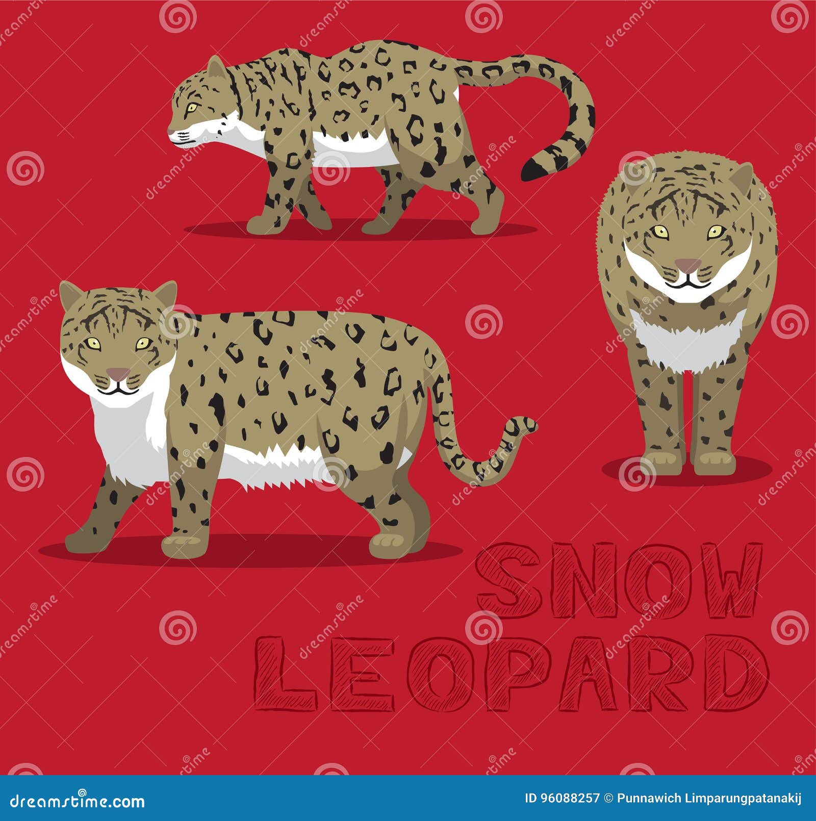 Snow Leopard Cartoon