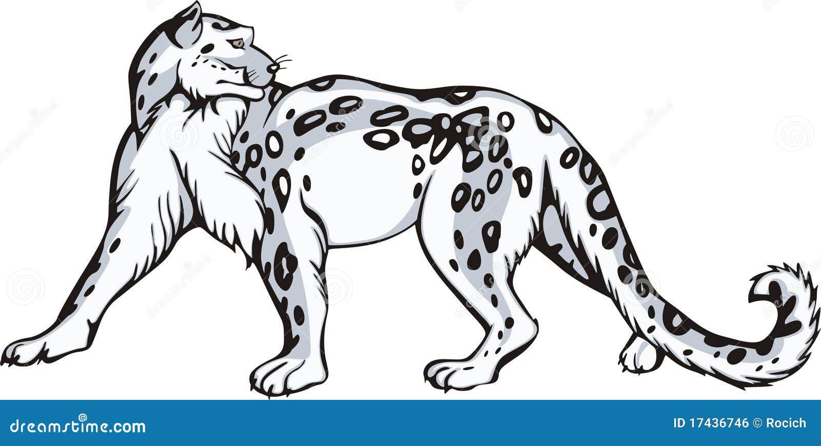 Snow leopard design stock vector. Illustration of great - 17436746