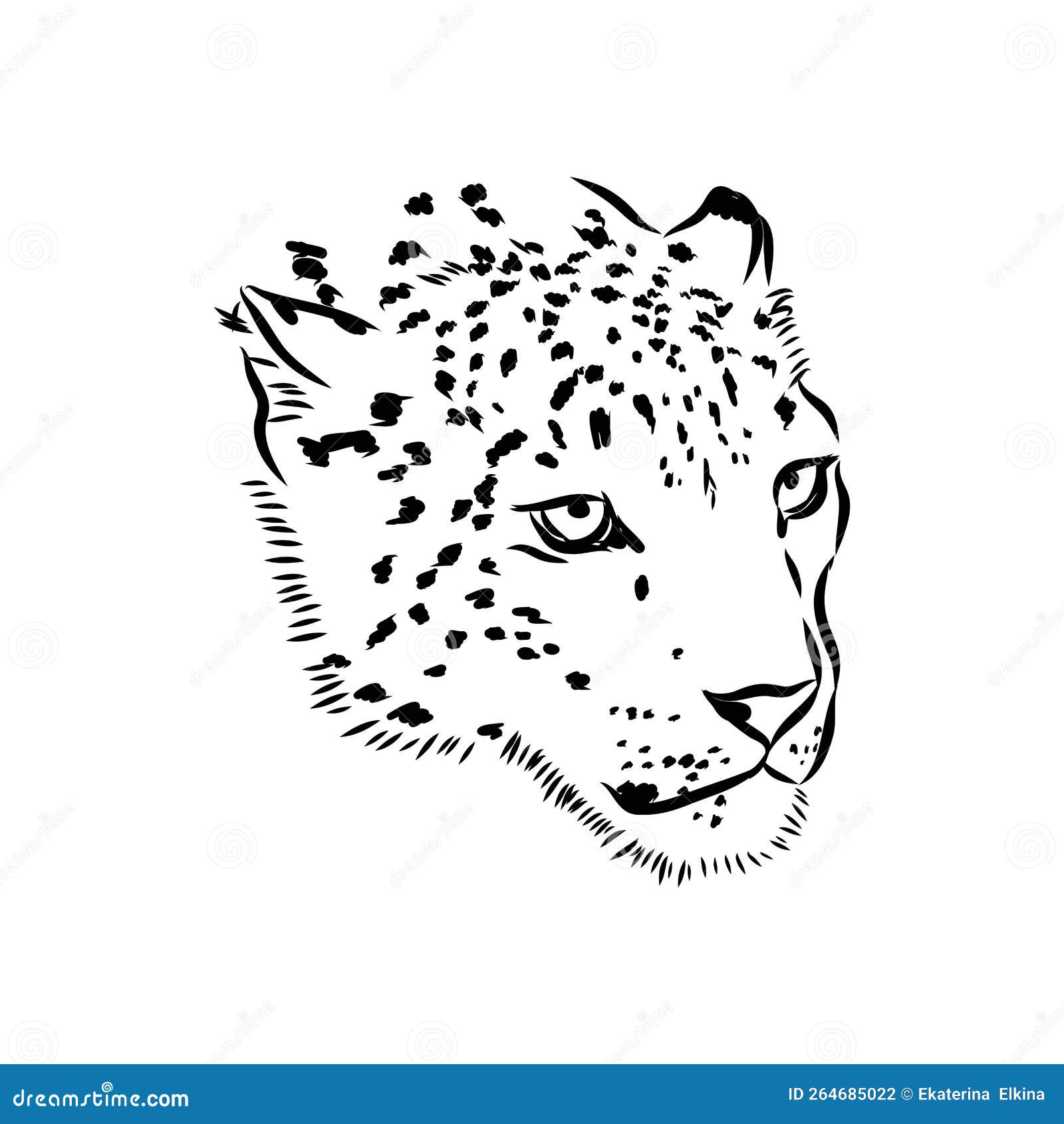 Snow Leopard , Hand Drawn Doodle, Sketch in Pop Art Style, Vector ...
