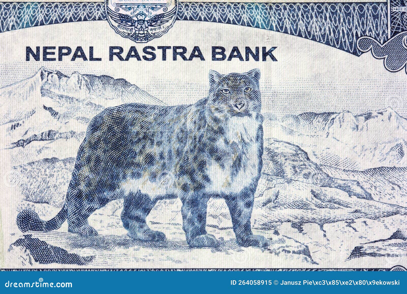 Snow Leopard from Nepalese Rupee Stock Image - Image of finance ...