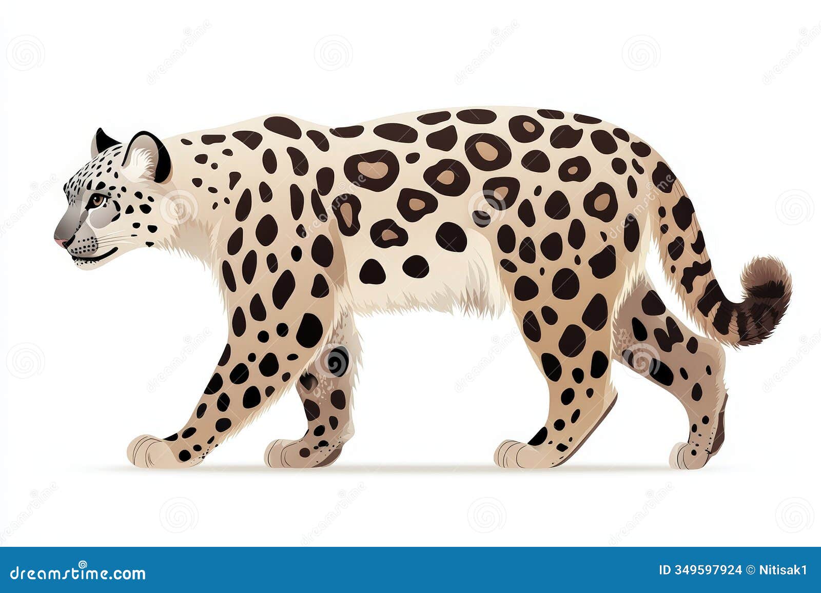Snow Leopard White Isolate Background Stock Illustration - Illustration of jump, movement: 349597924