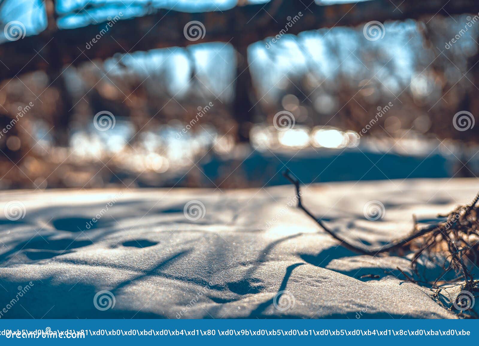 Snow Lies on the Ground Under Tree Branches in the Forest in the Rays ...