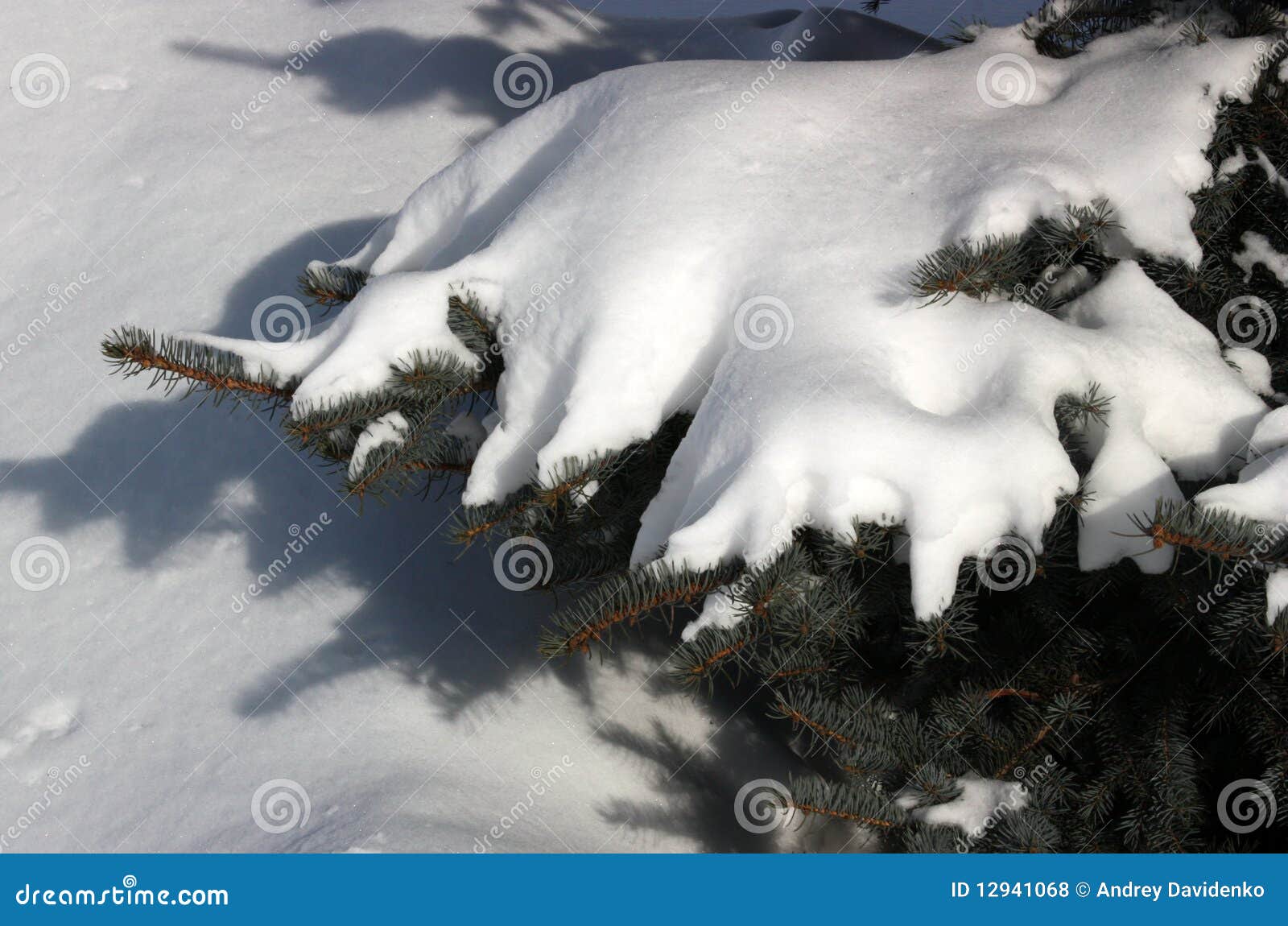 Snow, light and shades stock photo. Image of elements - 12941068