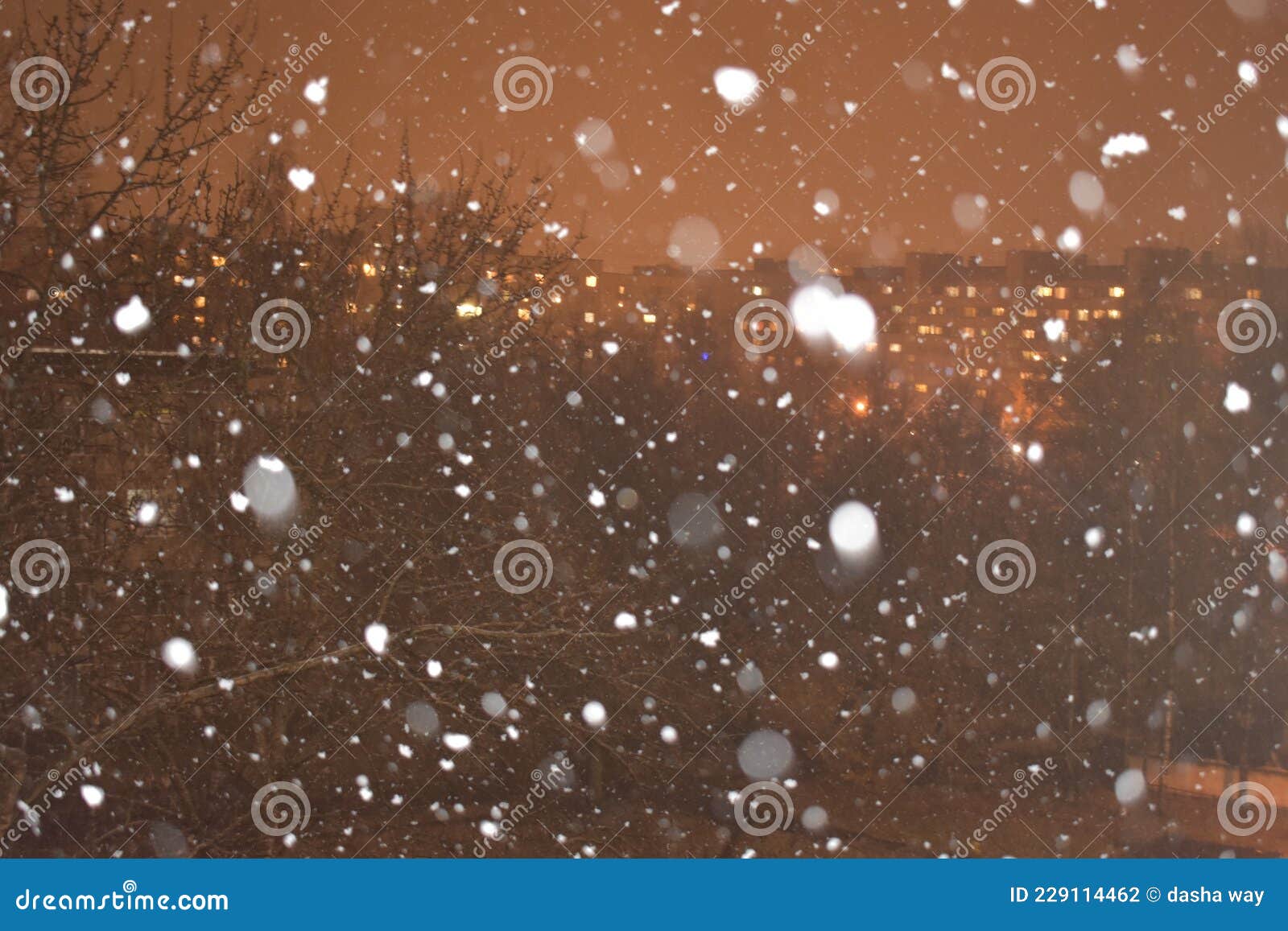 Snow and lights stock photo. Image of soil, frost, leaf - 229114462