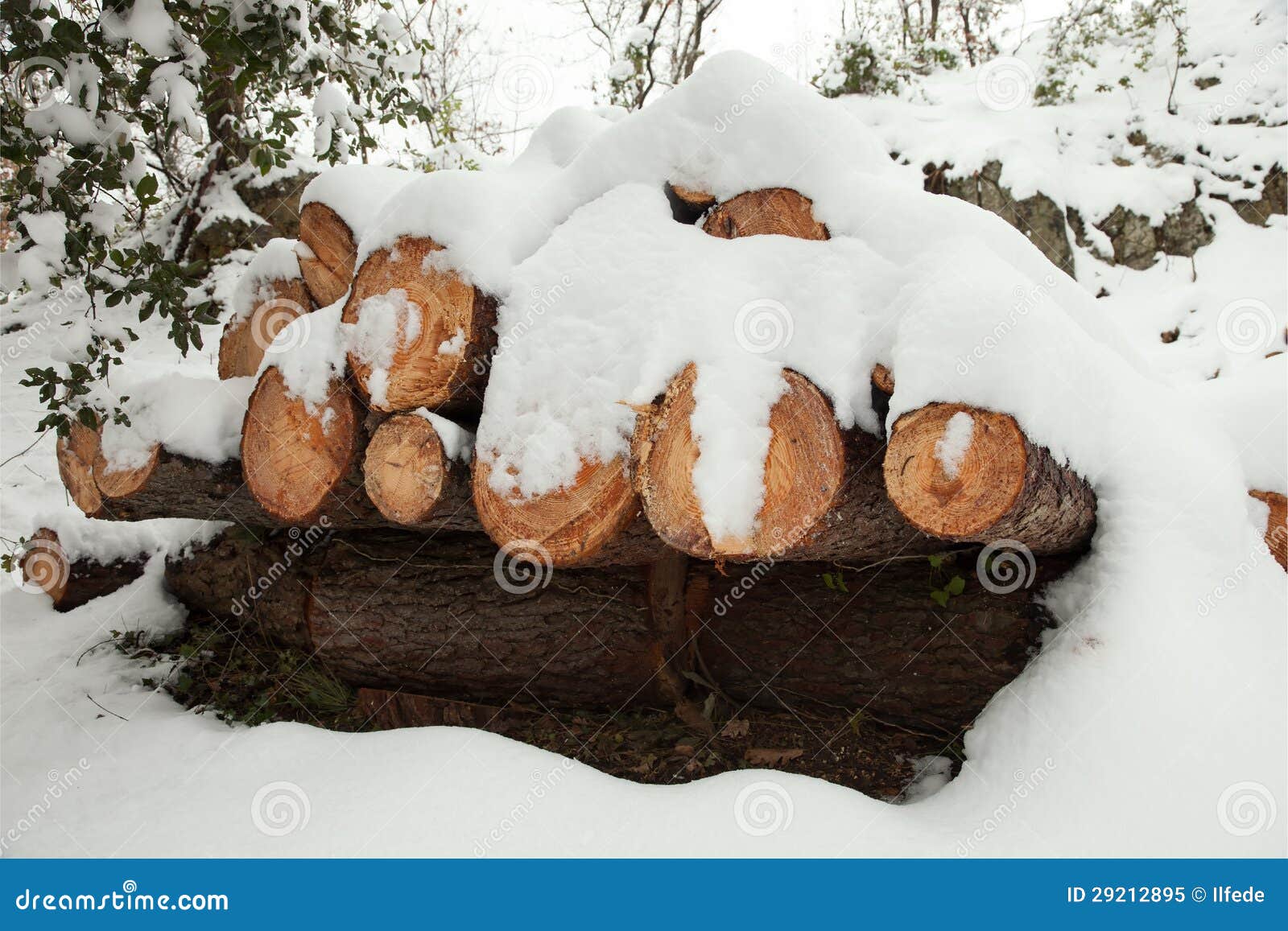 Snow Log Stack Lumber in Winter Stock Image - Image of sawed, logging ...