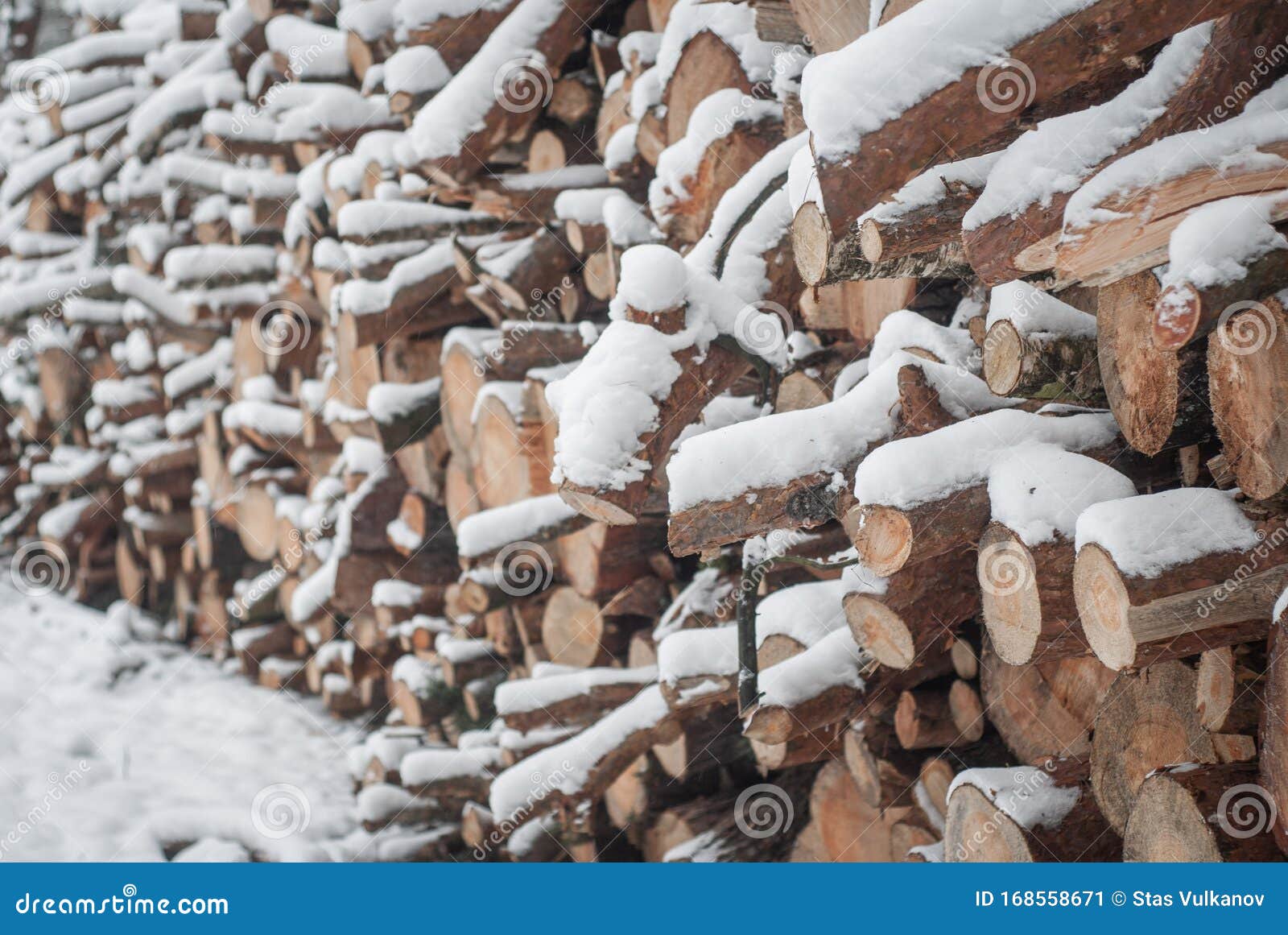 Snow Log Stack Lumber in Winter. Woodpile of Pine Stock Image - Image ...