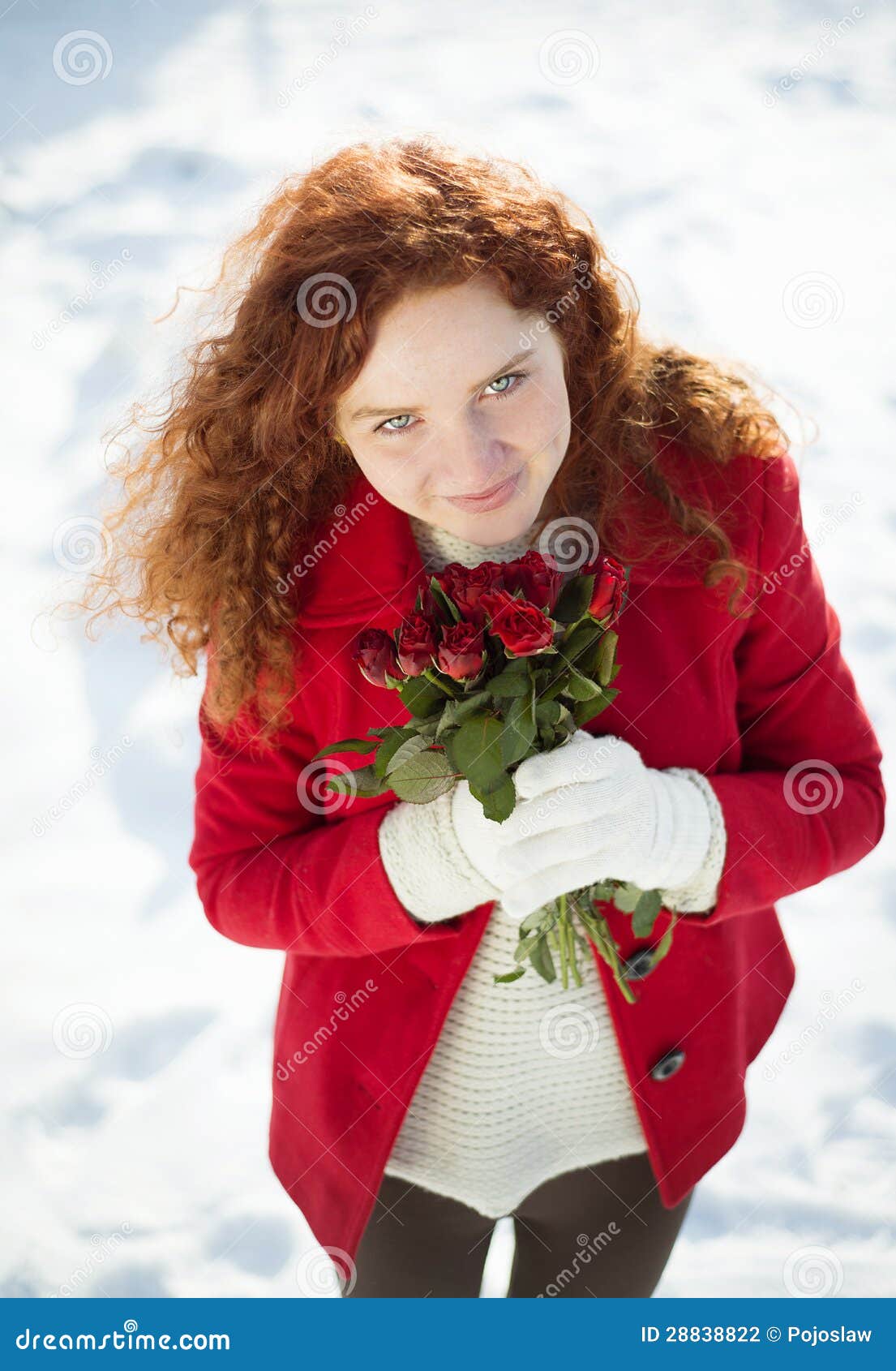 Snow love stock photo. Image of curly, coat, flower, gorgeous - 28838822