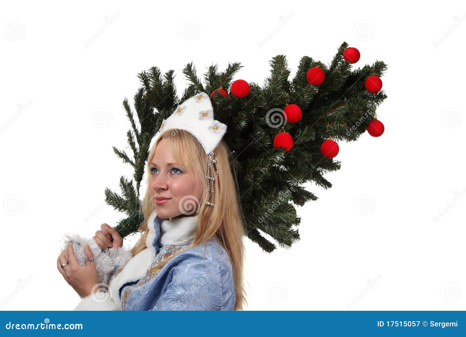 Snow Maiden stock image. Image of cute, hair, human, person - 17515057
