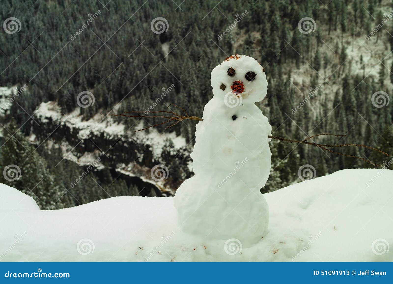 Snow man stock image. Image of cold, scenic, freezing - 51091913