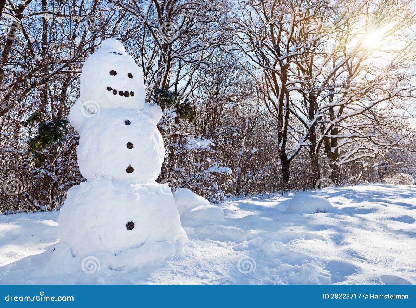 Snow man in winter forest stock image. Image of snowy - 28223717