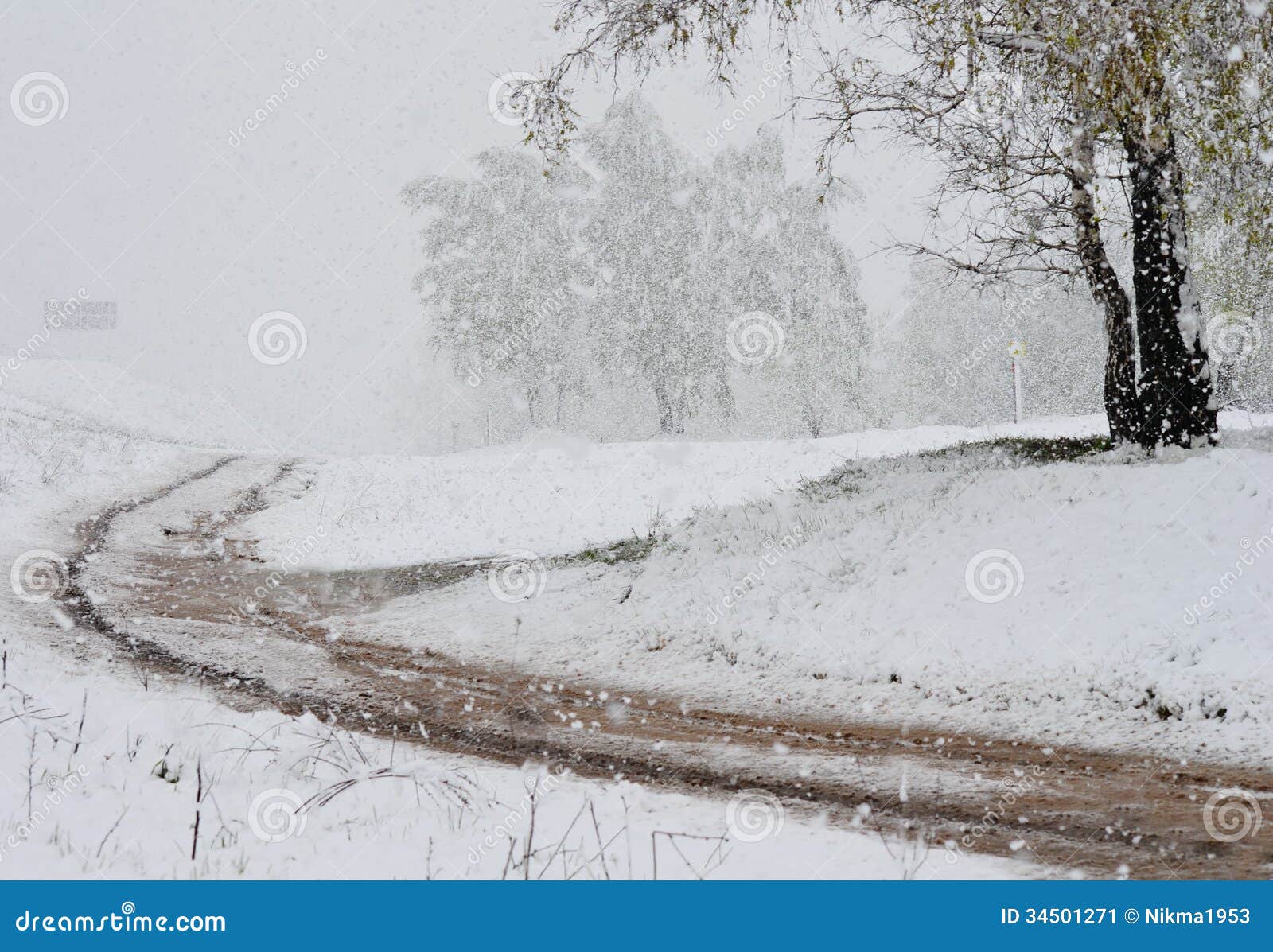 Snow at May stock image. Image of garden, falls, snowfall - 34501271