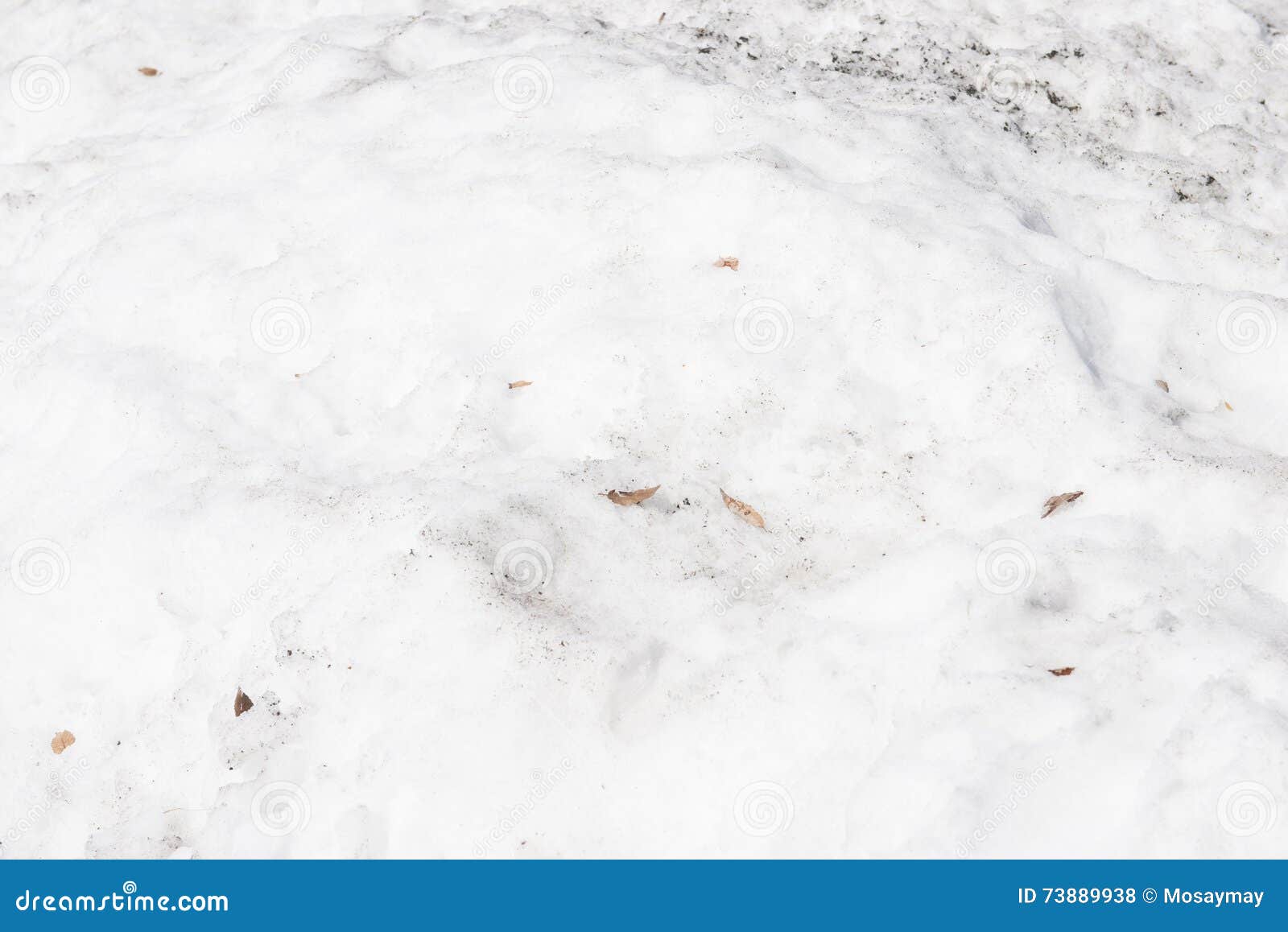 Snow Melt on the Ground in Winter Stock Photo - Image of snow, ground ...