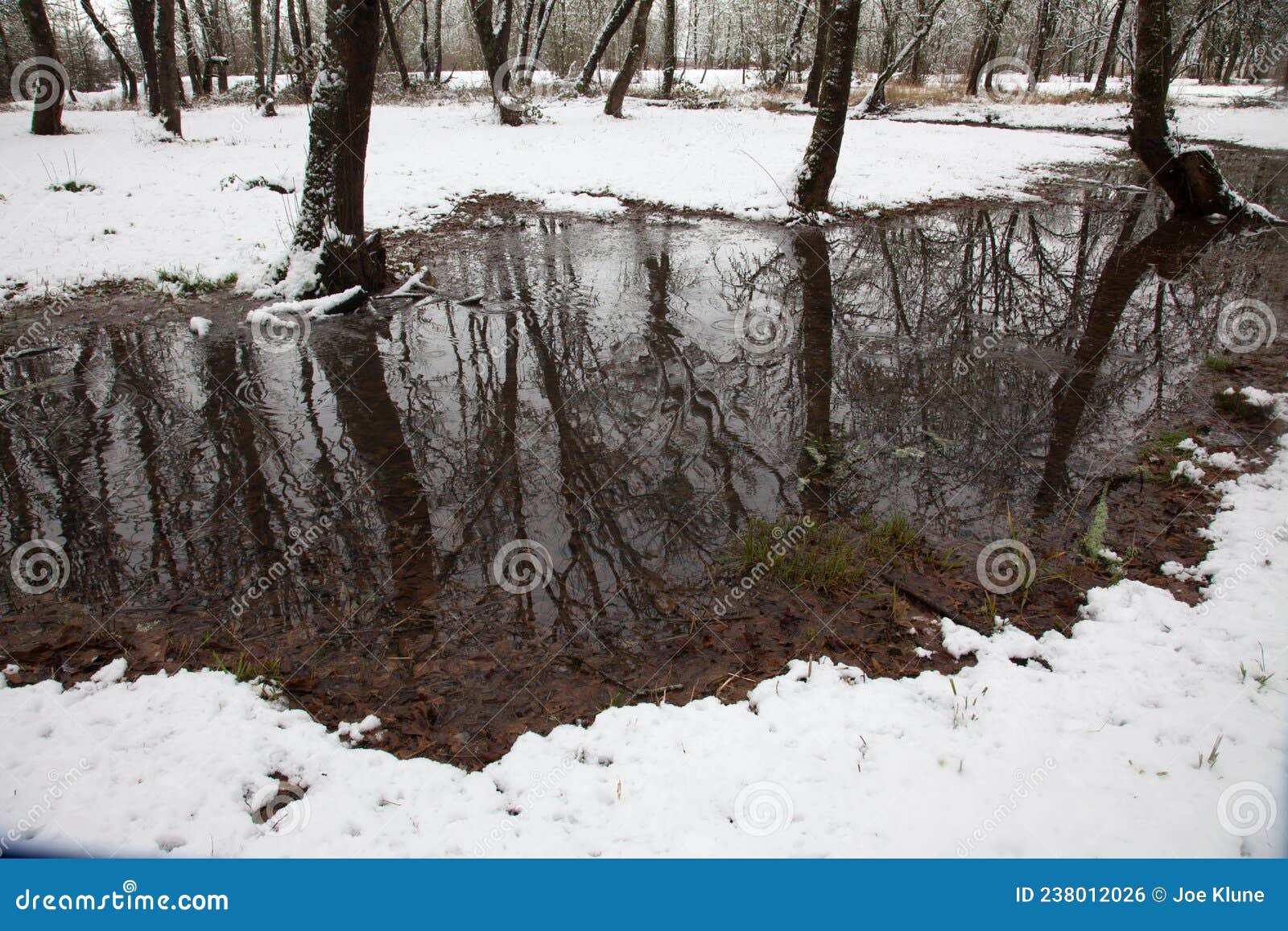 Snow Melt Reflections during the Winter Season Stock Photo - Image of ...