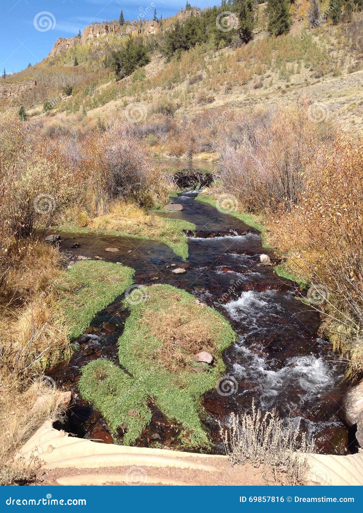 Snow melt stream stock photo. Image of water, stream - 69857816