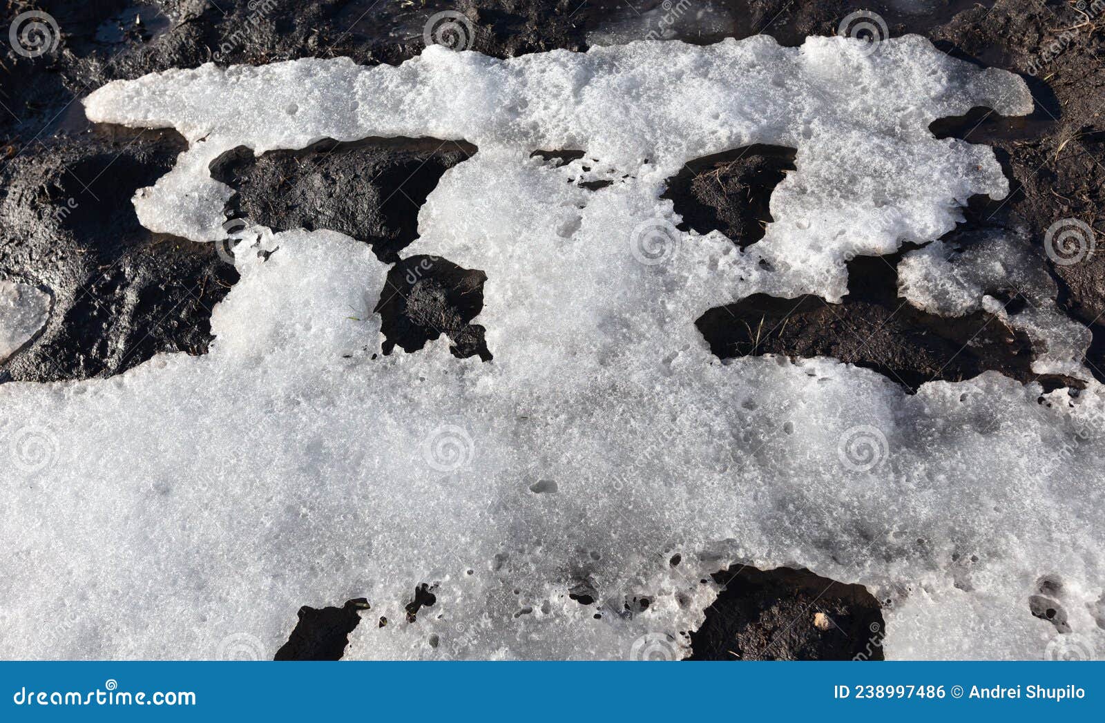 Snow Melts on the Ground in Spring. Stock Photo - Image of forest ...