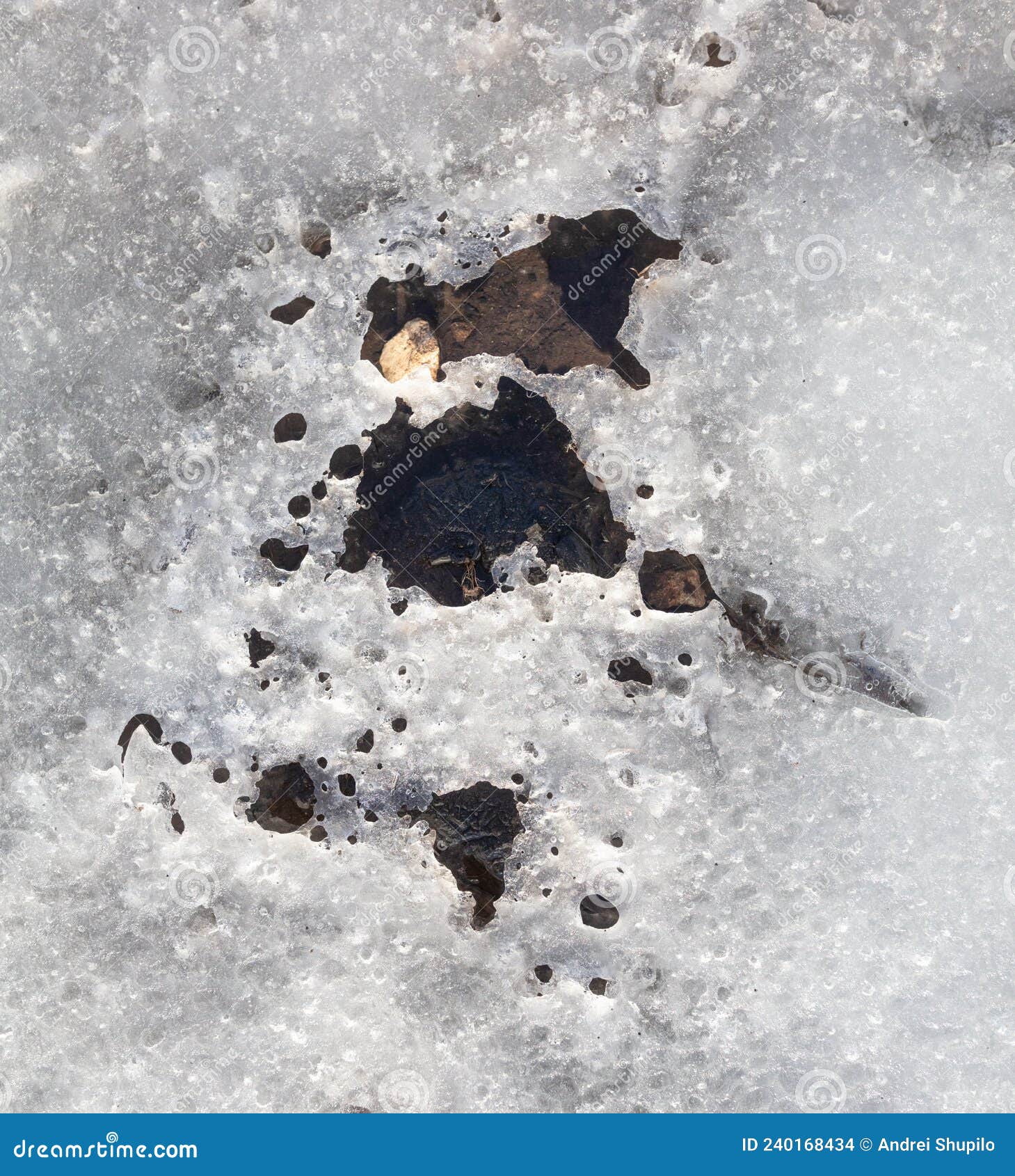 Snow Melts on the Ground in Spring. Stock Photo - Image of black ...