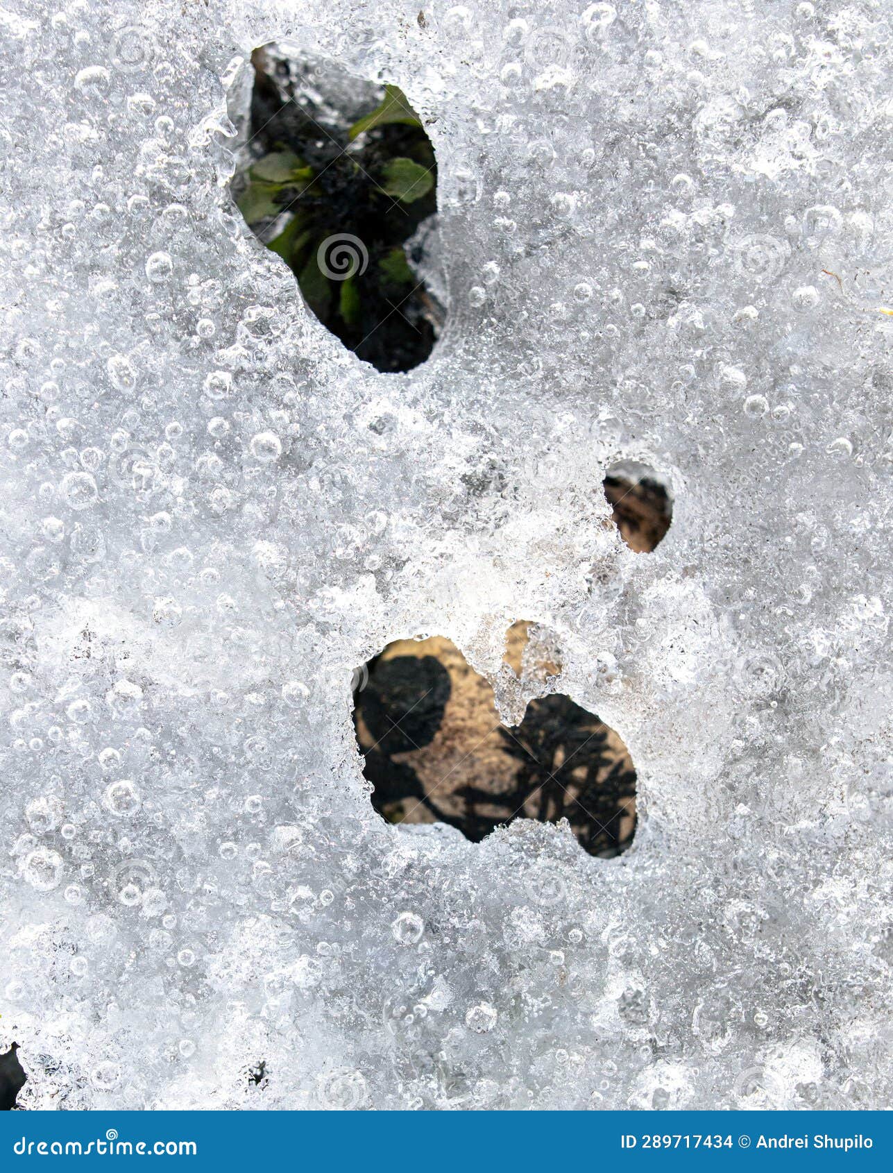 Snow Melts on the Ground in Spring. Stock Photo - Image of winter ...