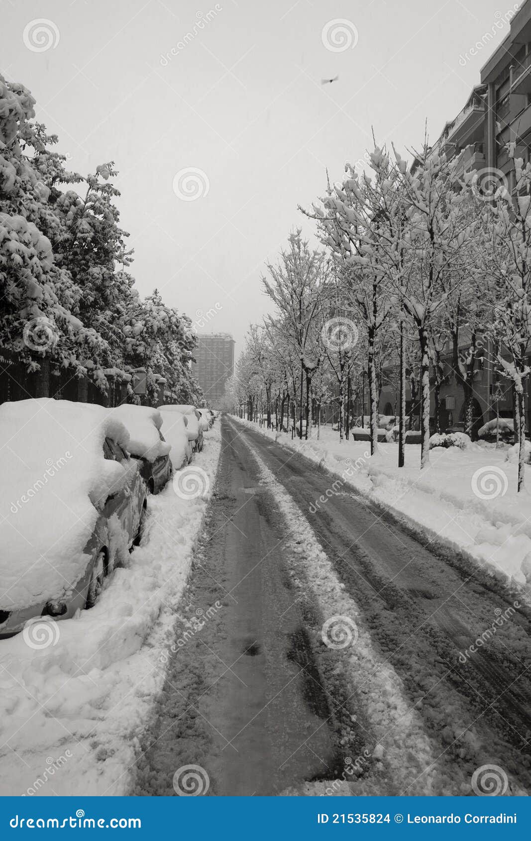Snow in Milan, Italy stock photo. Image of cars, winter - 21535824