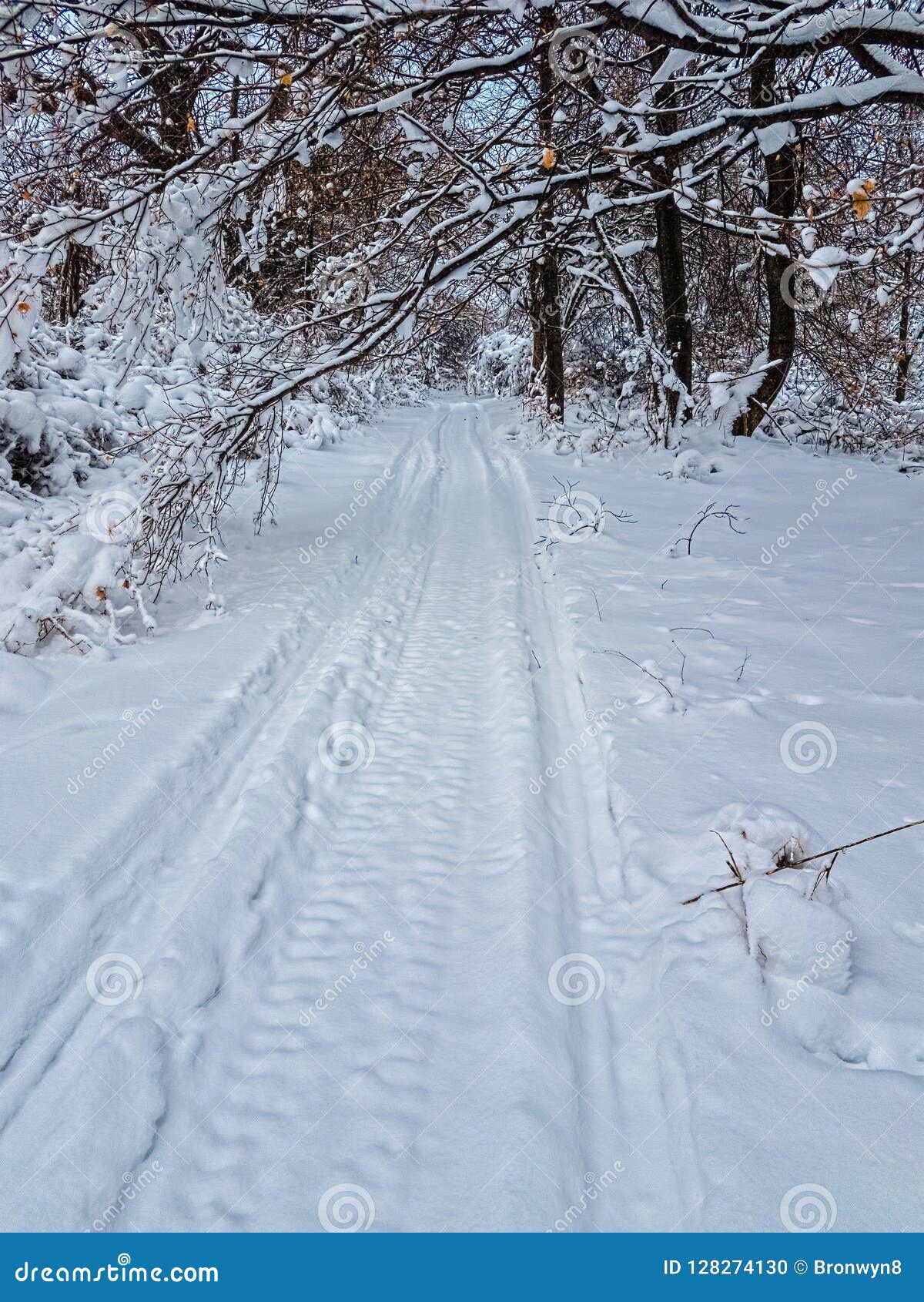 Snow Mobile Path through New Snow Stock Photo - Image of texture ...