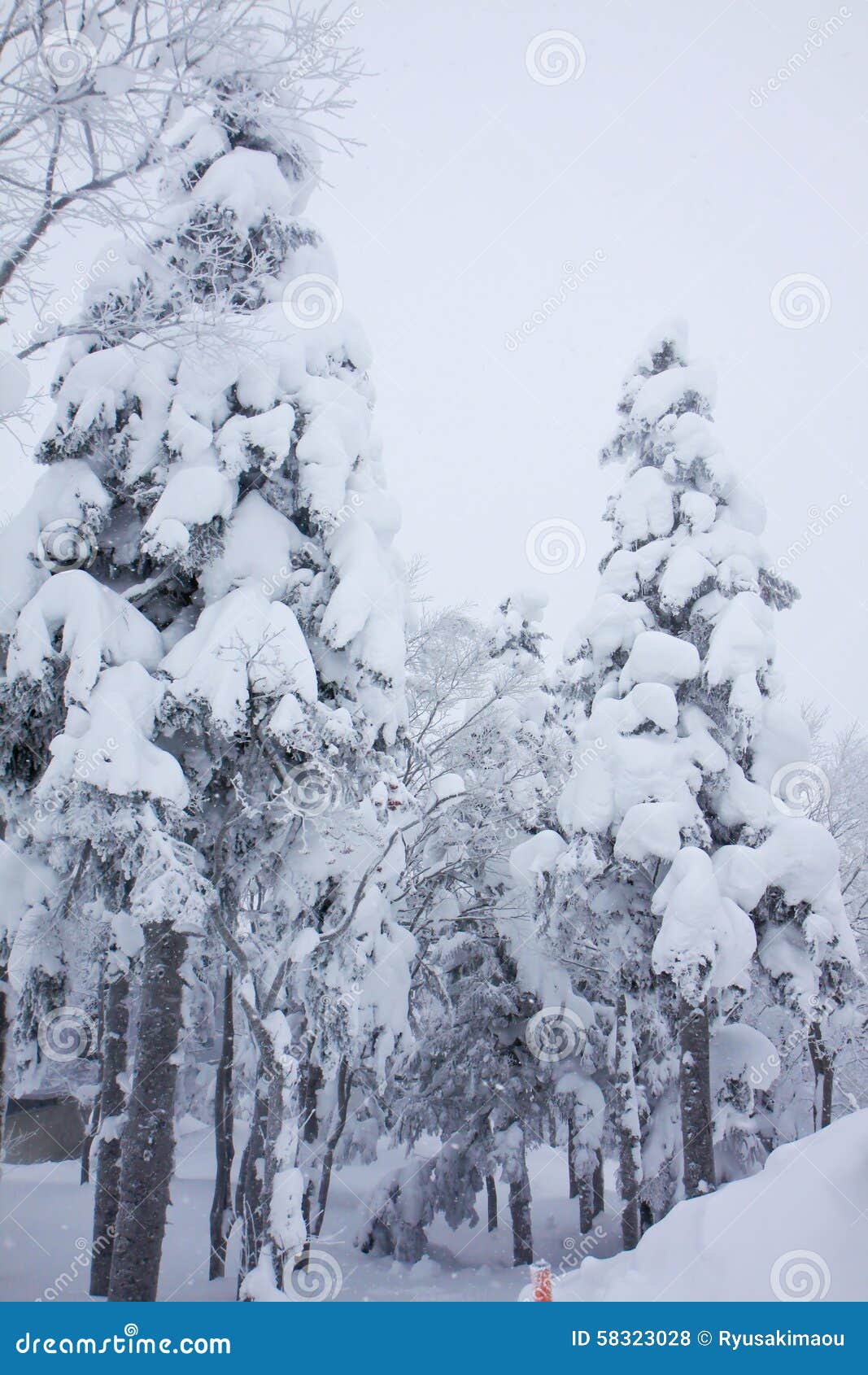 Snow monster on forest stock photo. Image of snowscape - 58323028