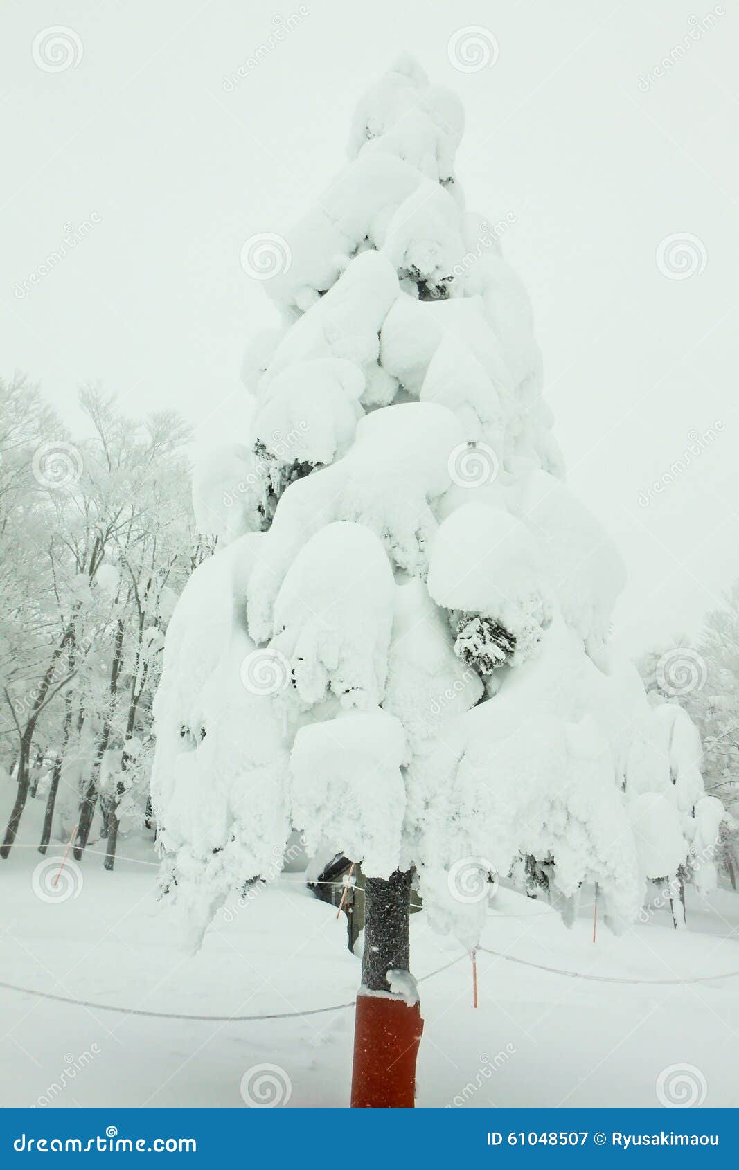 Snow monster on tree stock image. Image of monster, frost - 61048507