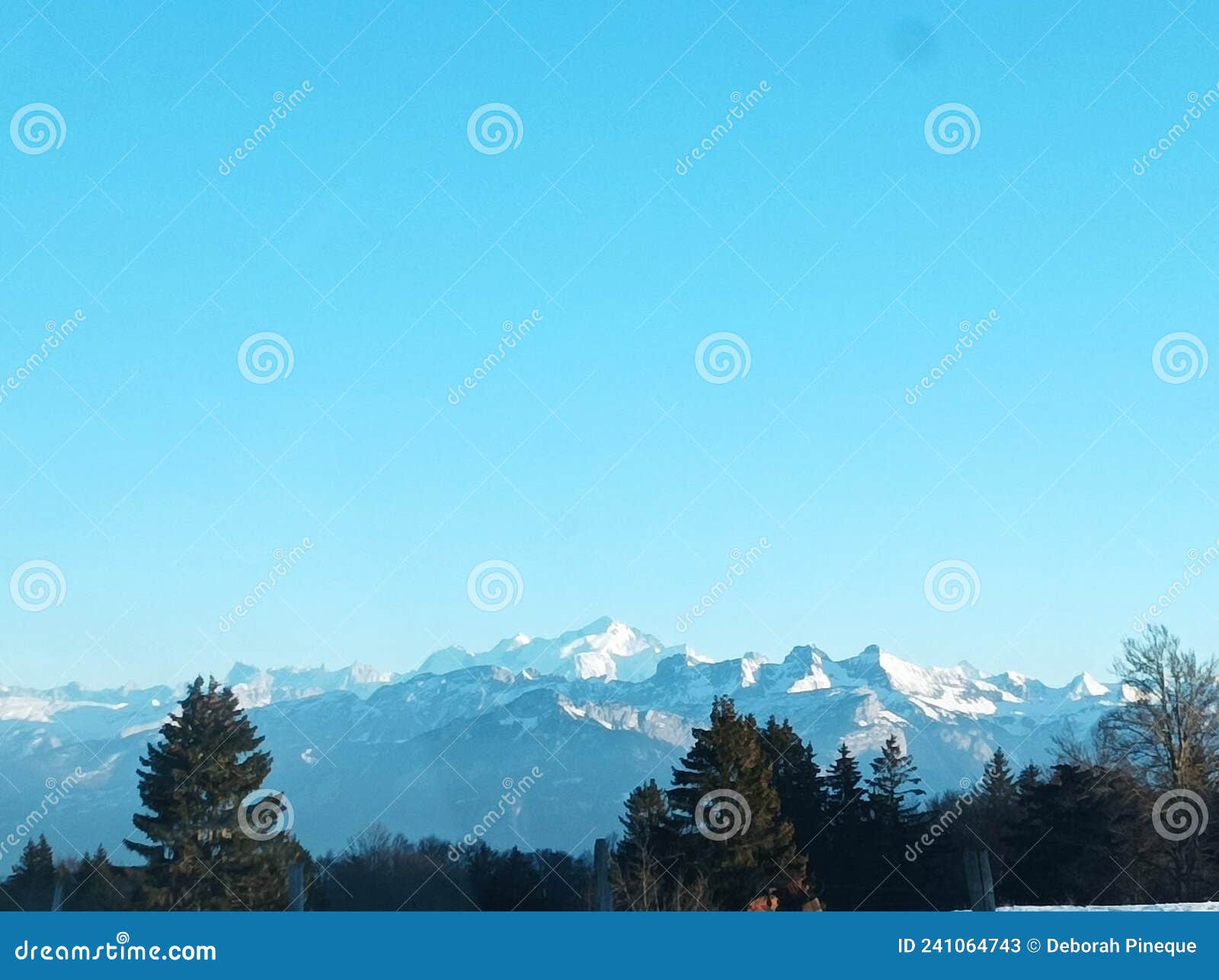 Snow mont saleve stock image. Image of tree, hill, saleve - 241064743