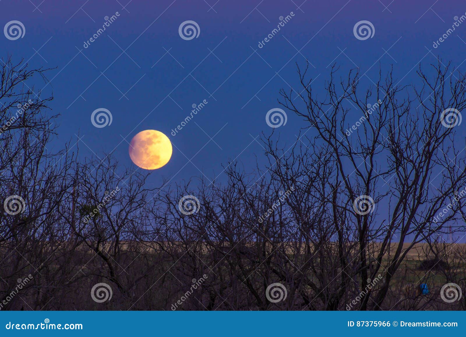 Snow Moon Rises Over Pasture Stock Photo - Image of fields, west: 87375966
