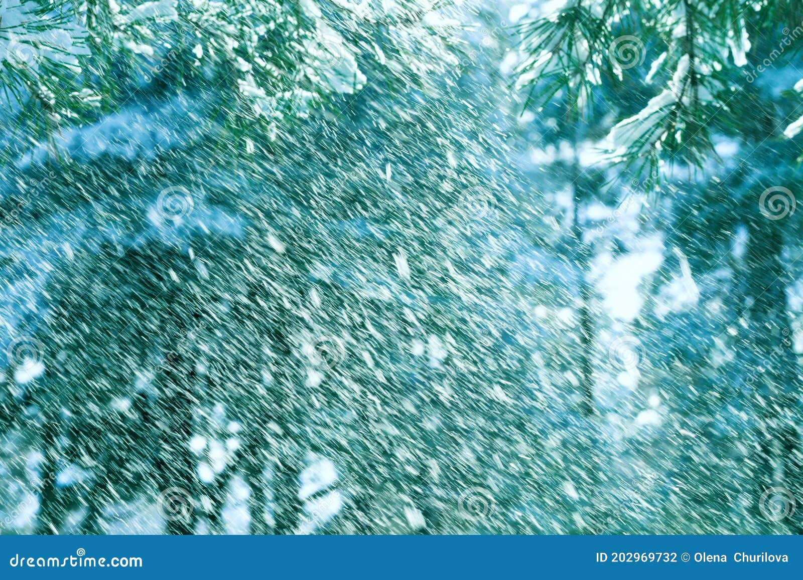 Snow Motion Blur.Photo of Snowfall Abstract Background Stock Photo ...
