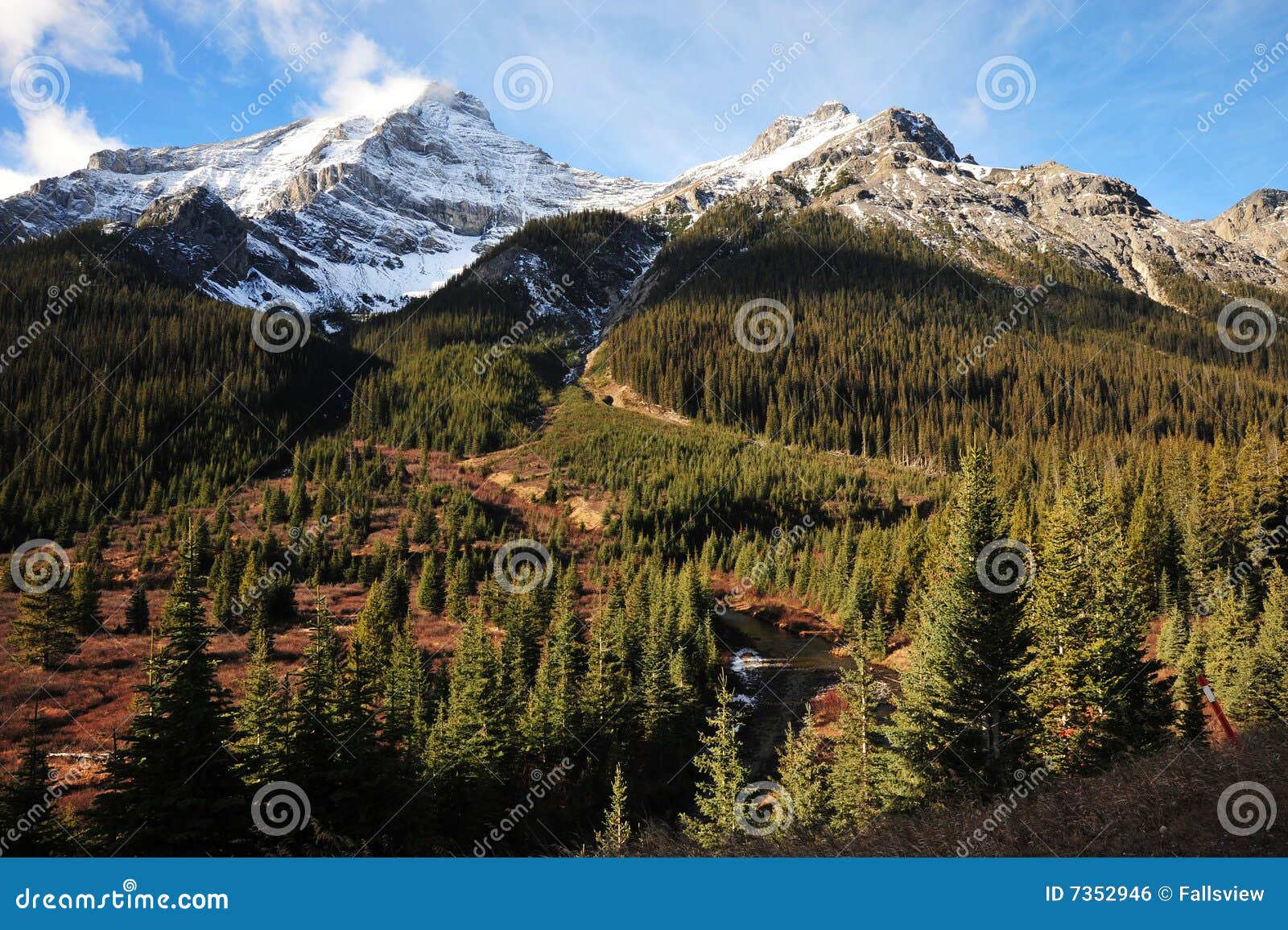 Snow mountain and forest stock photo. Image of country - 7352946