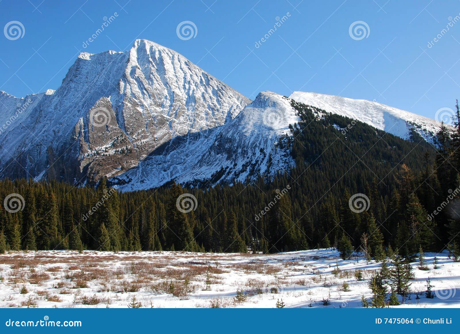 Snow mountain and meadow stock photo. Image of hiking - 7475064