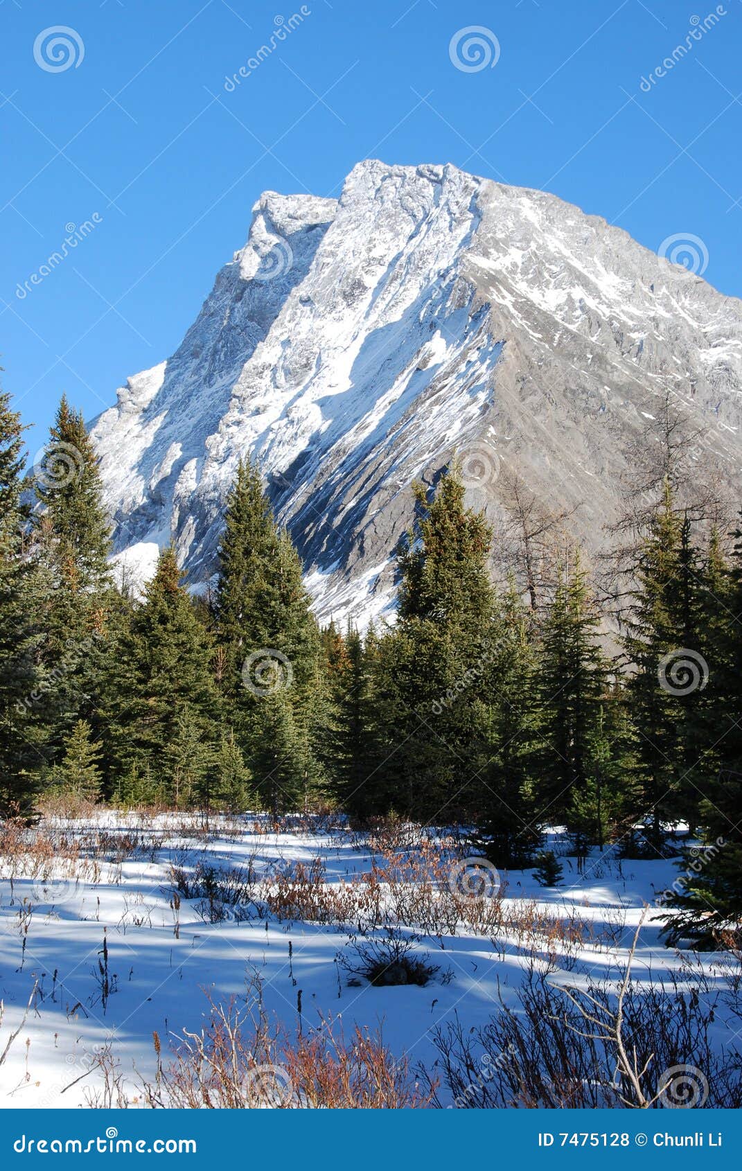 Snow mountain and meadow stock photo. Image of trees, trail - 7475128