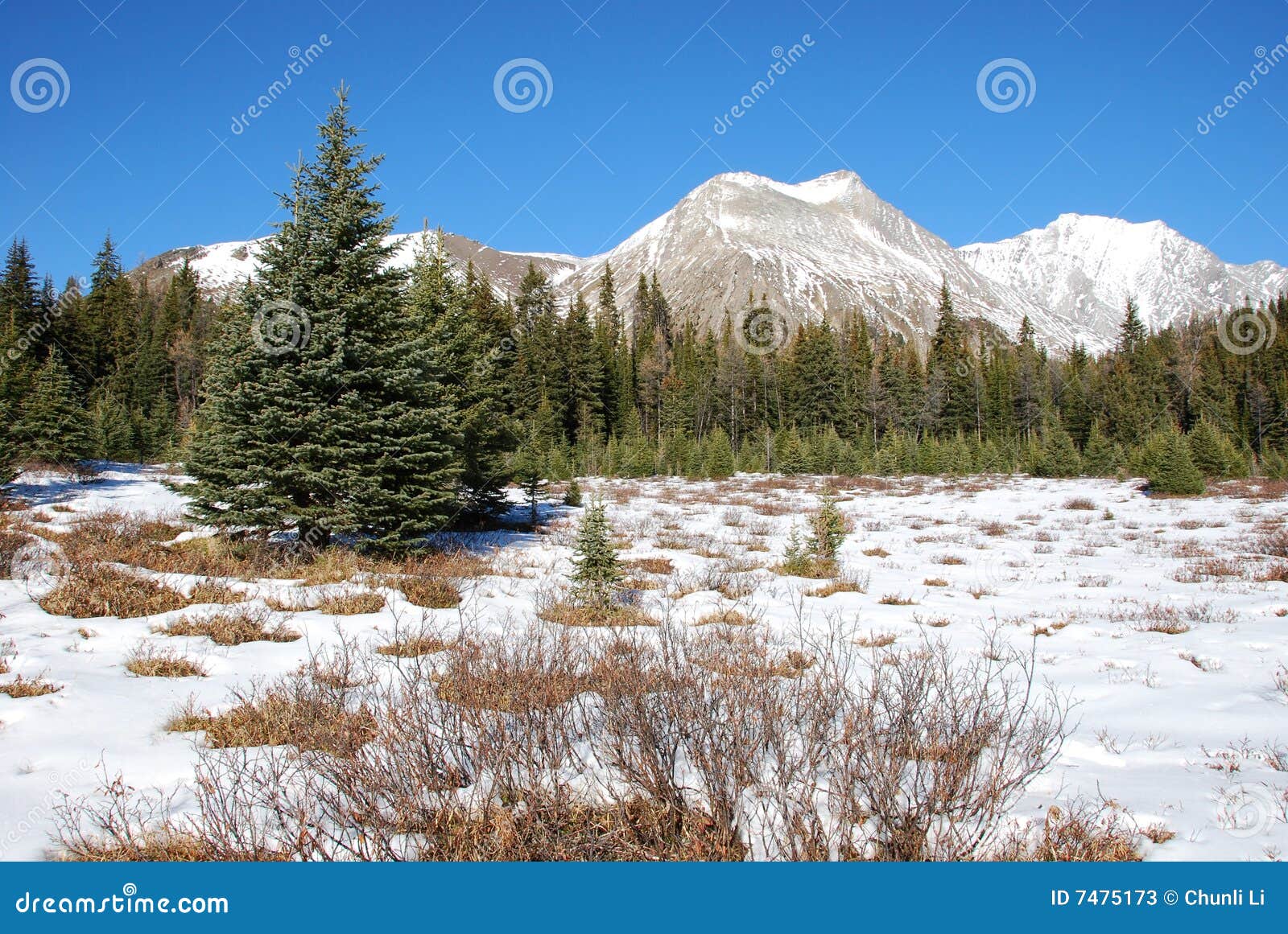Snow mountain and meadow stock image. Image of trail, canadian - 7475173