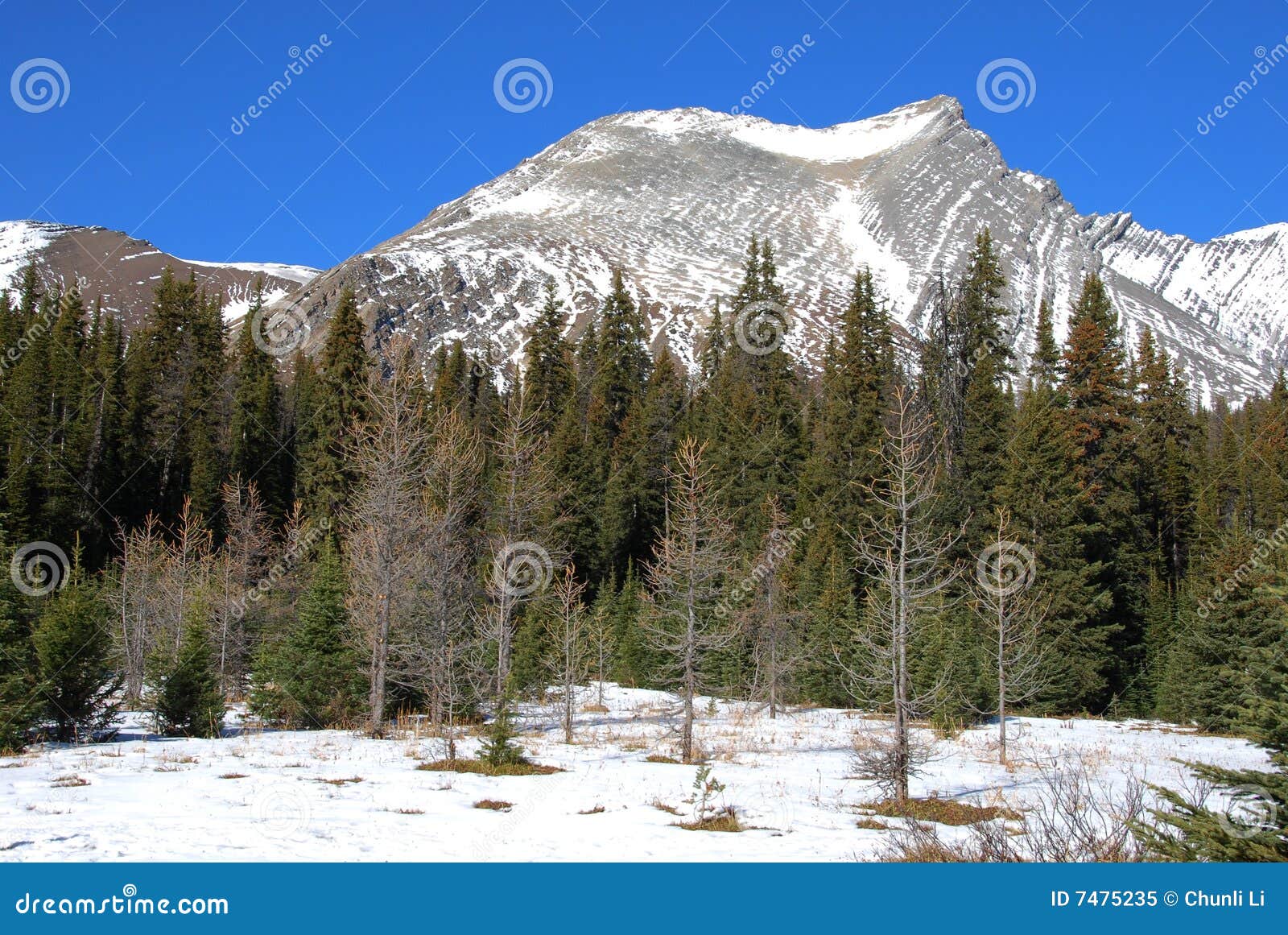 Snow mountain and meadow stock image. Image of canadian - 7475235