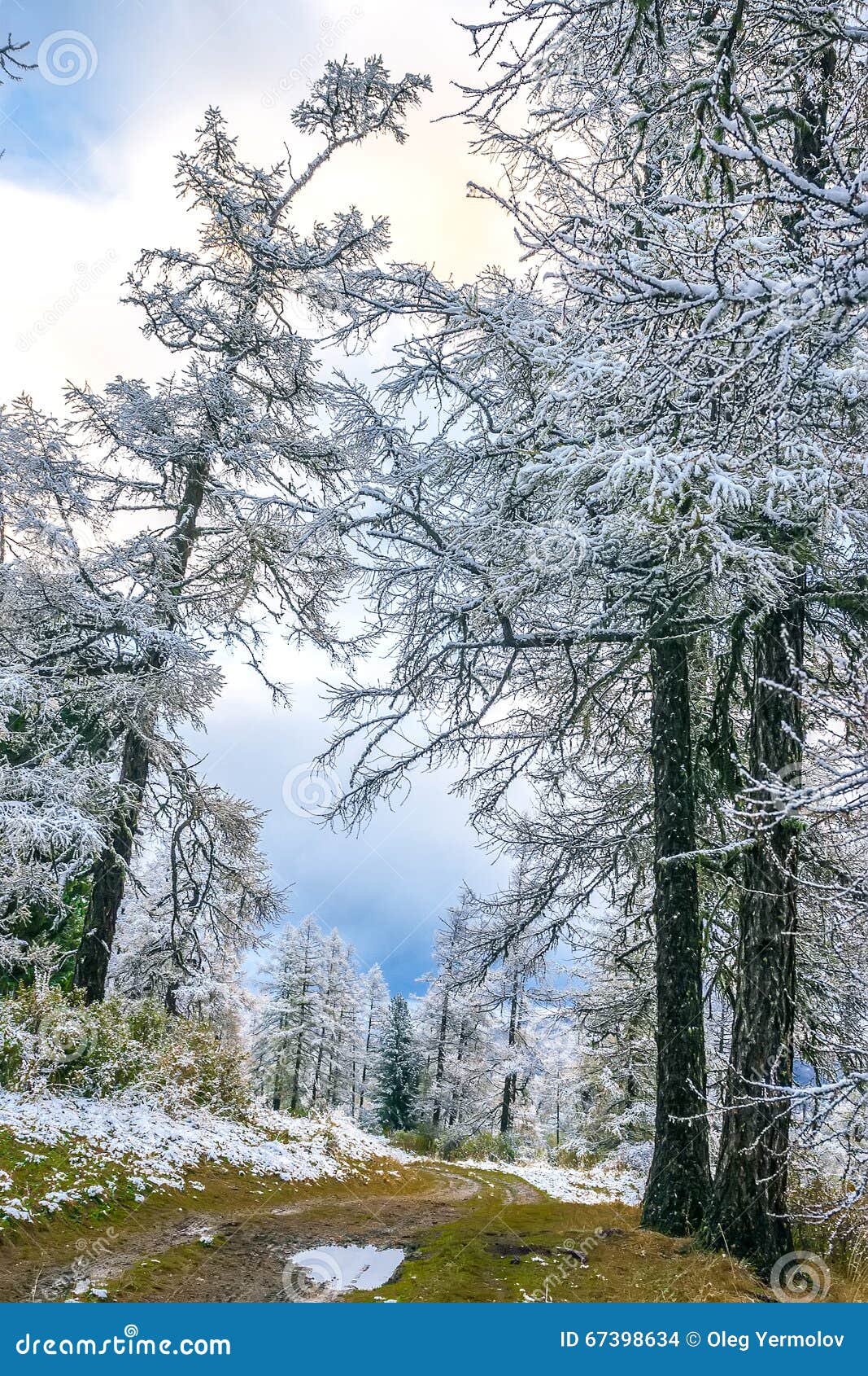 Snow on mountain pass stock photo. Image of travel, adventure - 67398634