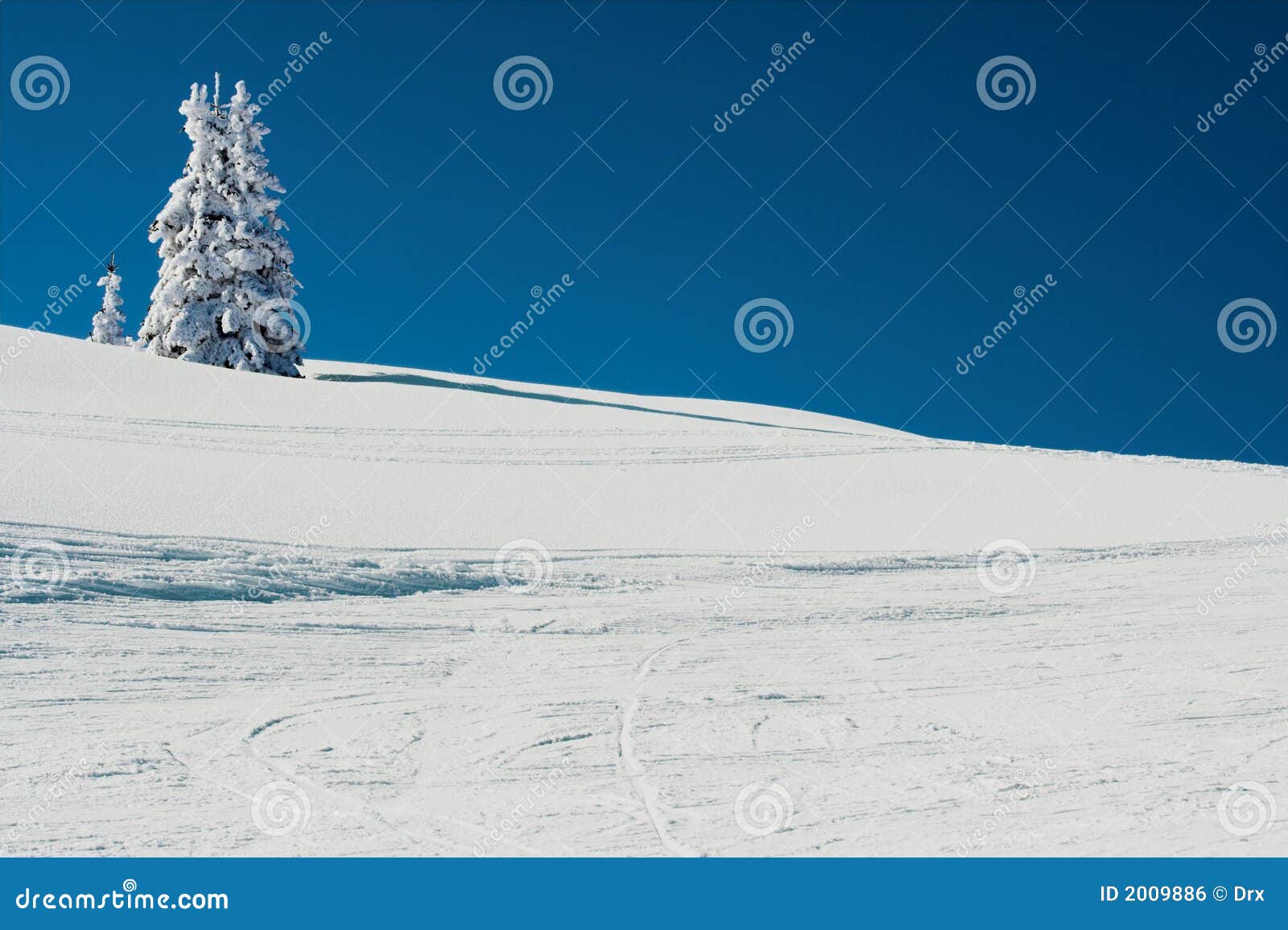 Snow mountain tree stock photo. Image of solitude, christmas - 2009886