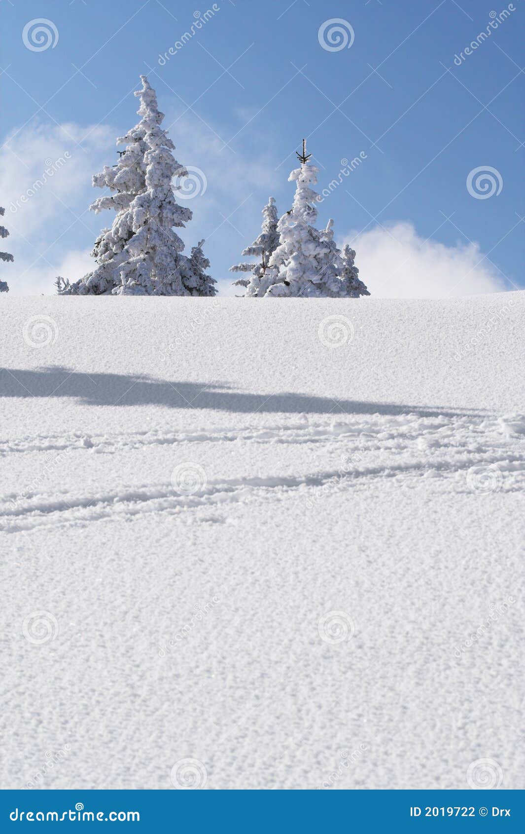 Snow mountain trees stock photo. Image of snow, mountain - 2019722
