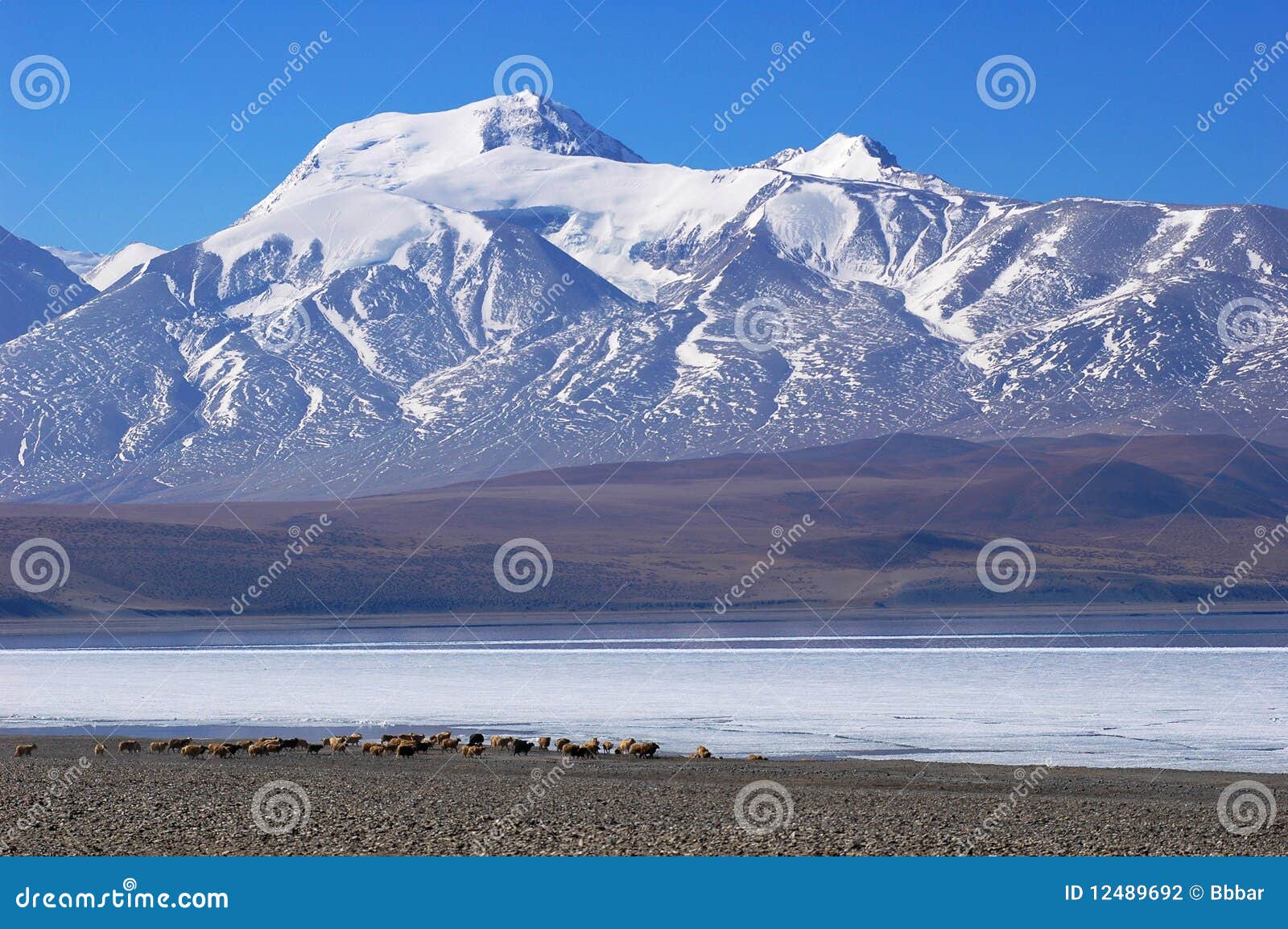 Snow Mountains and Freezing Lake in Tibet Stock Photo - Image of ...