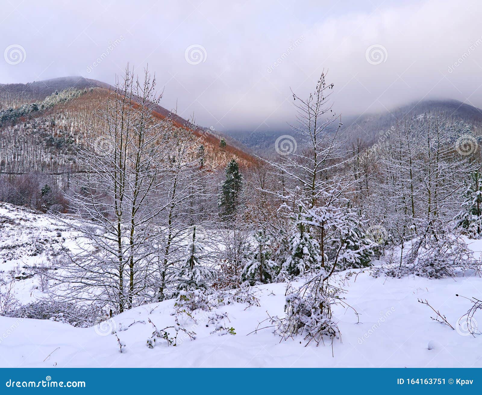 Snow, Mountains, Ridges and Bare Trees. Winter Landscape Stock Image ...